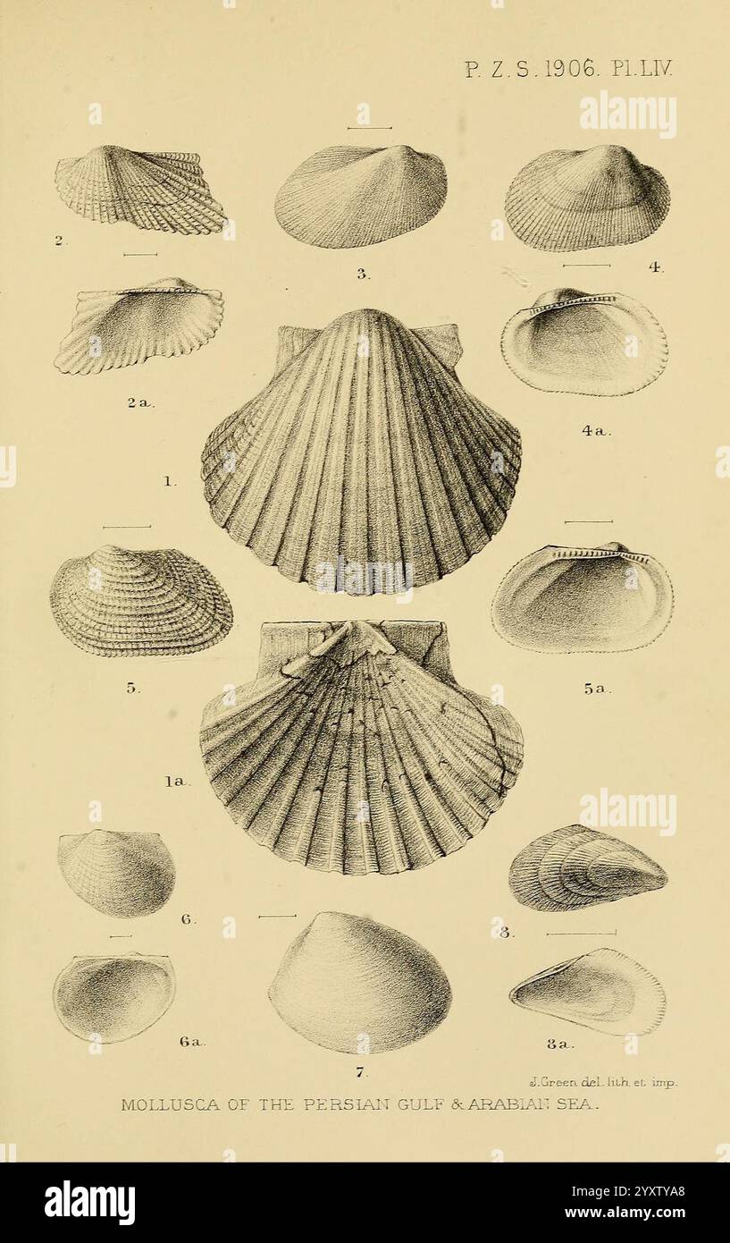Proceedings of the Zoological Society of London, London, Academic Press ...