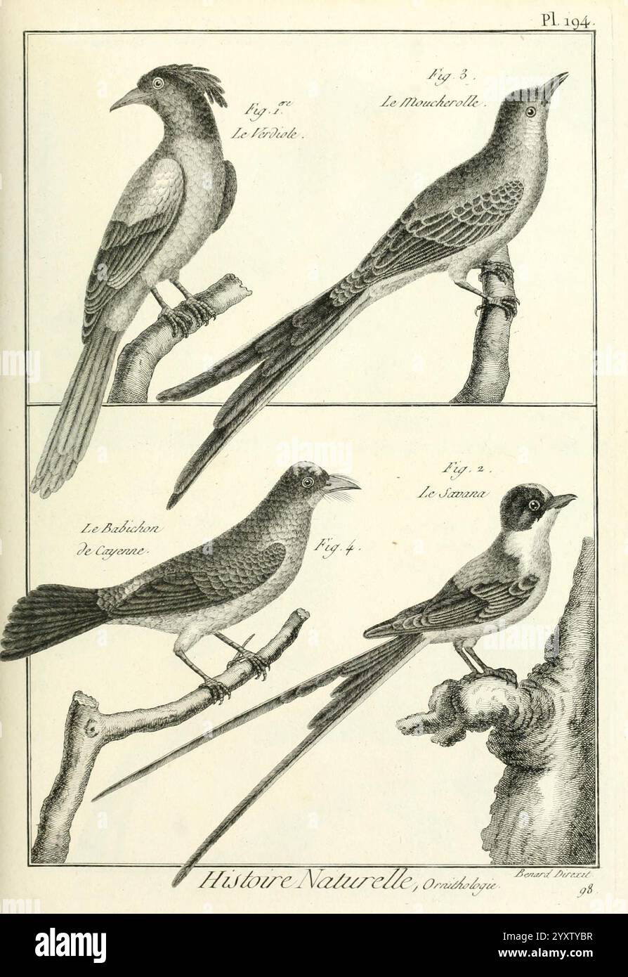 Labeled le sombre hi-res stock photography and images - Alamy