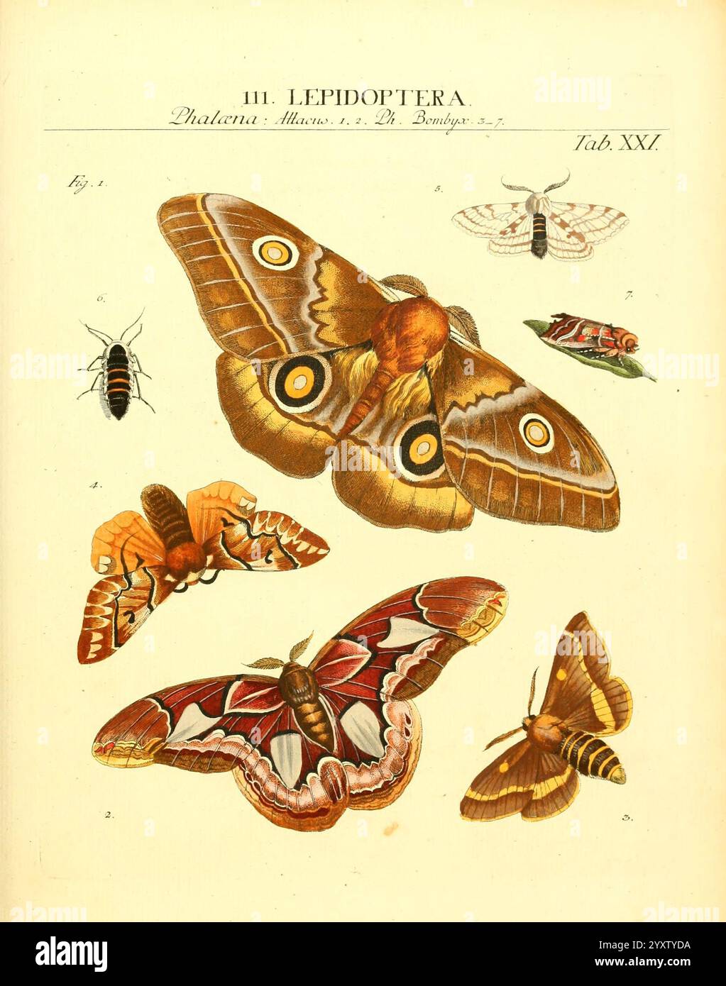 Distinctive circular patterns hi-res stock photography and images - Alamy