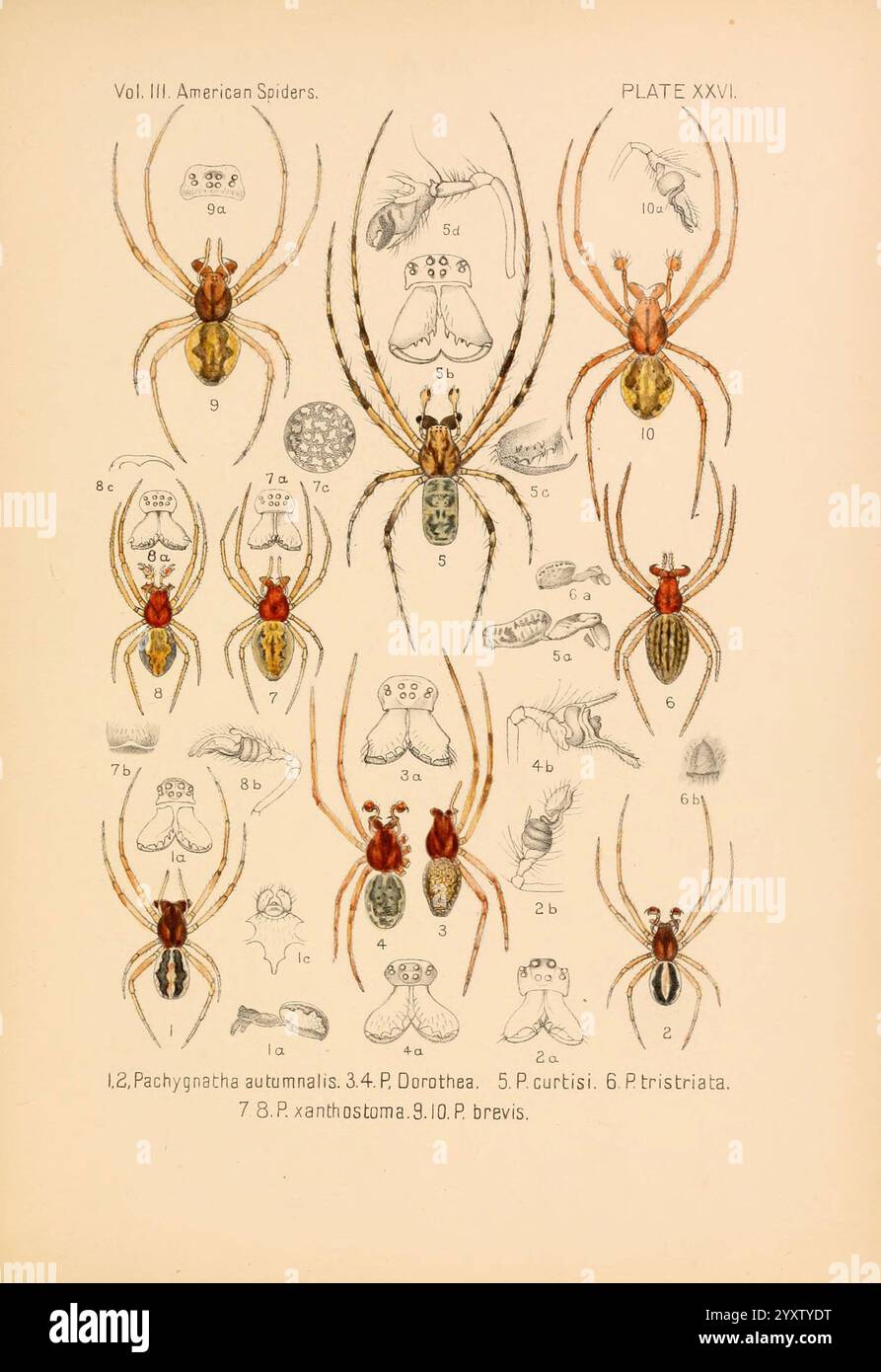 Additional small drawings hi-res stock photography and images - Alamy