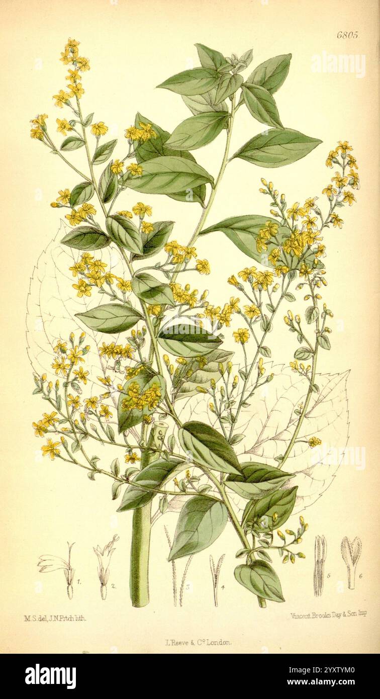 Meticulous representation emphasizes hi-res stock photography and ...