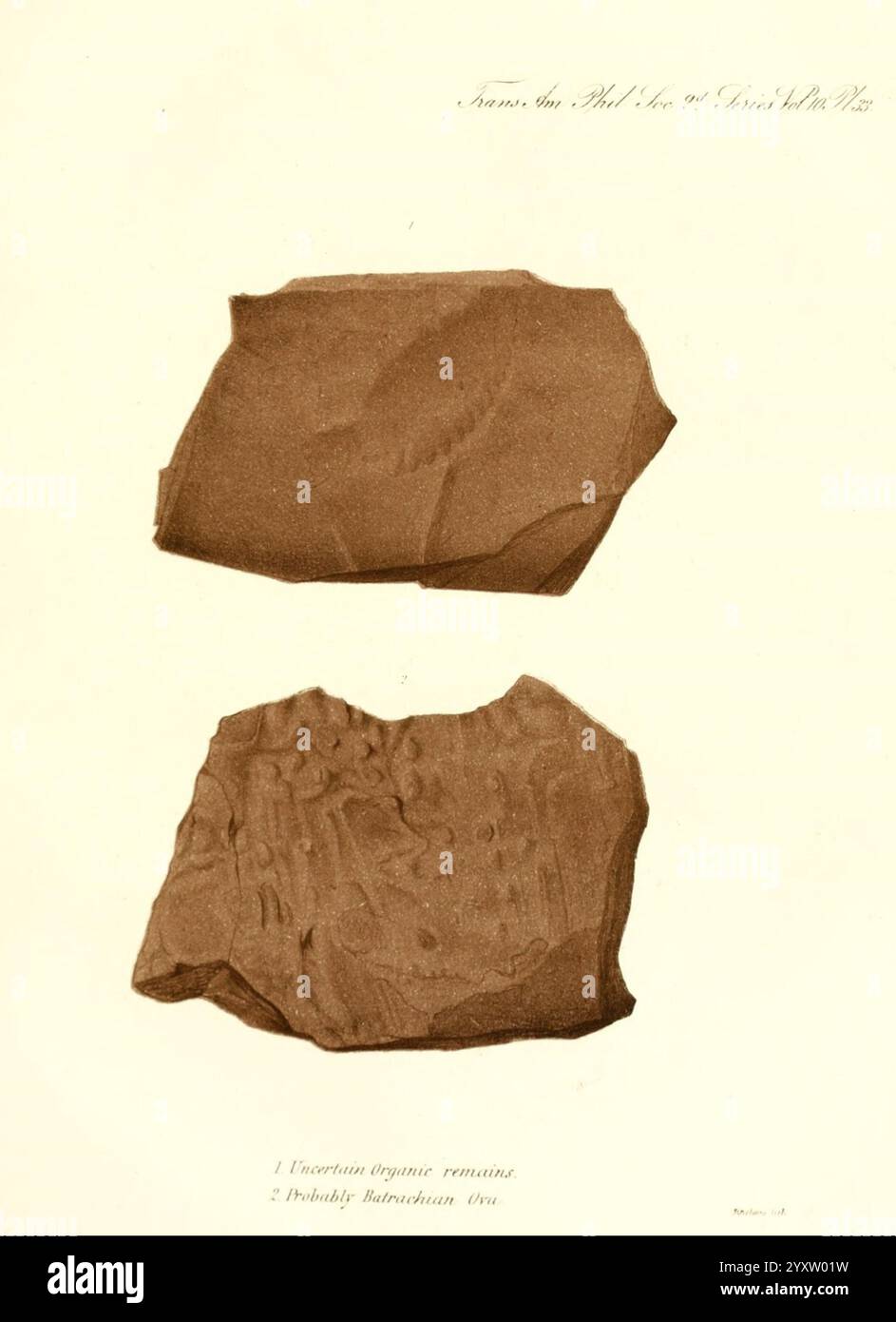 Specific geological terms hi-res stock photography and images - Alamy