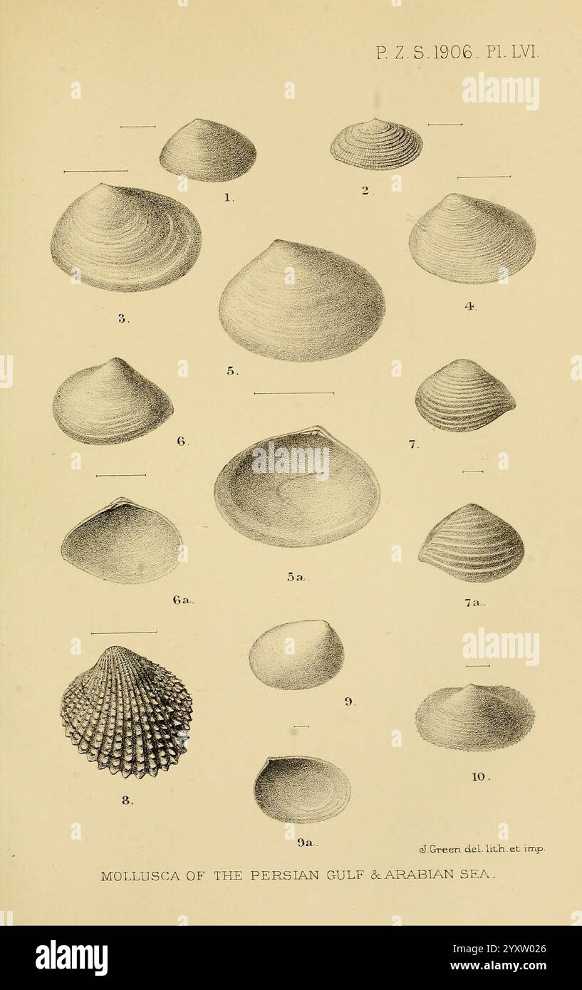 Specified marine regions hi-res stock photography and images - Alamy