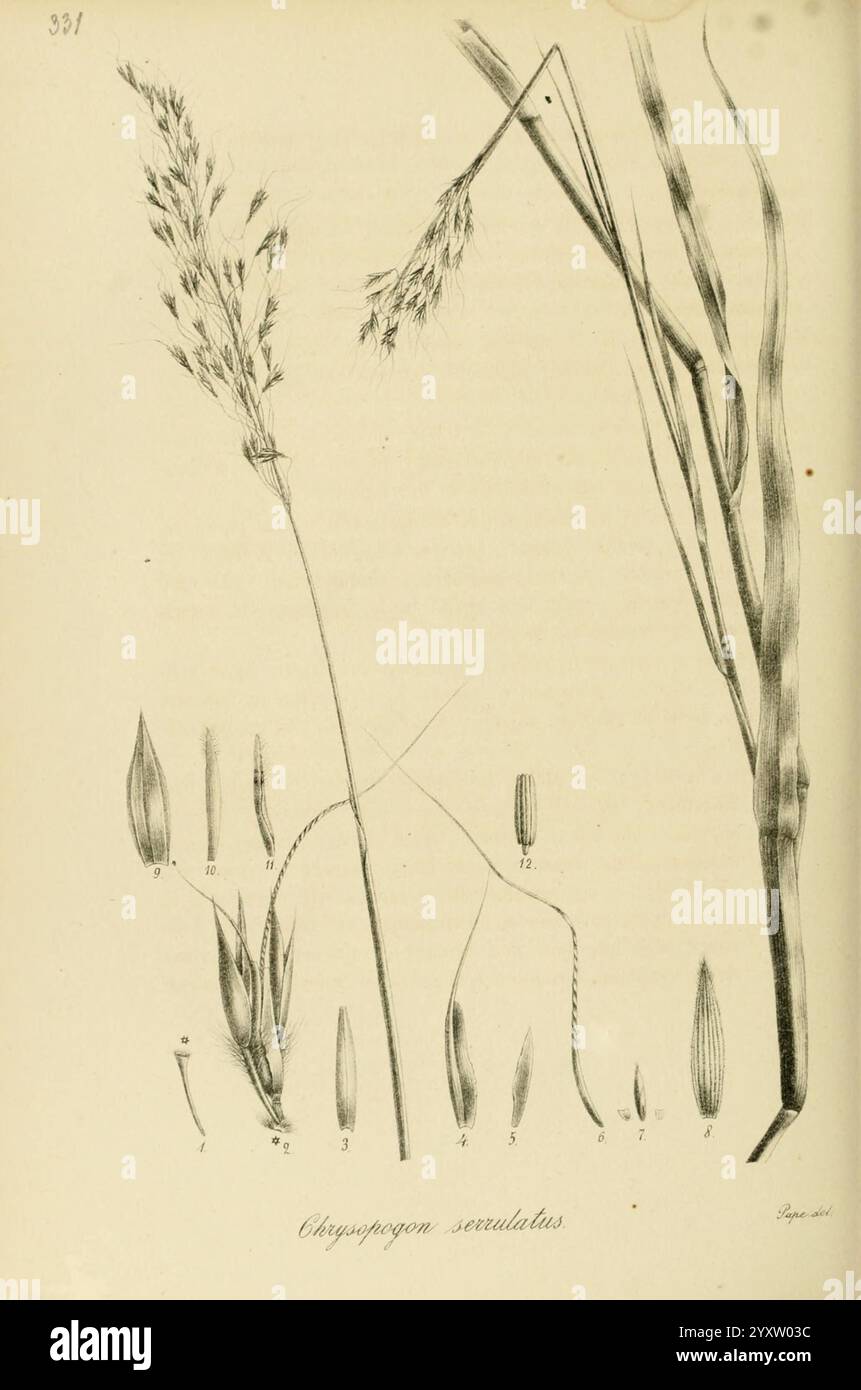 Several labeled components hi-res stock photography and images - Alamy