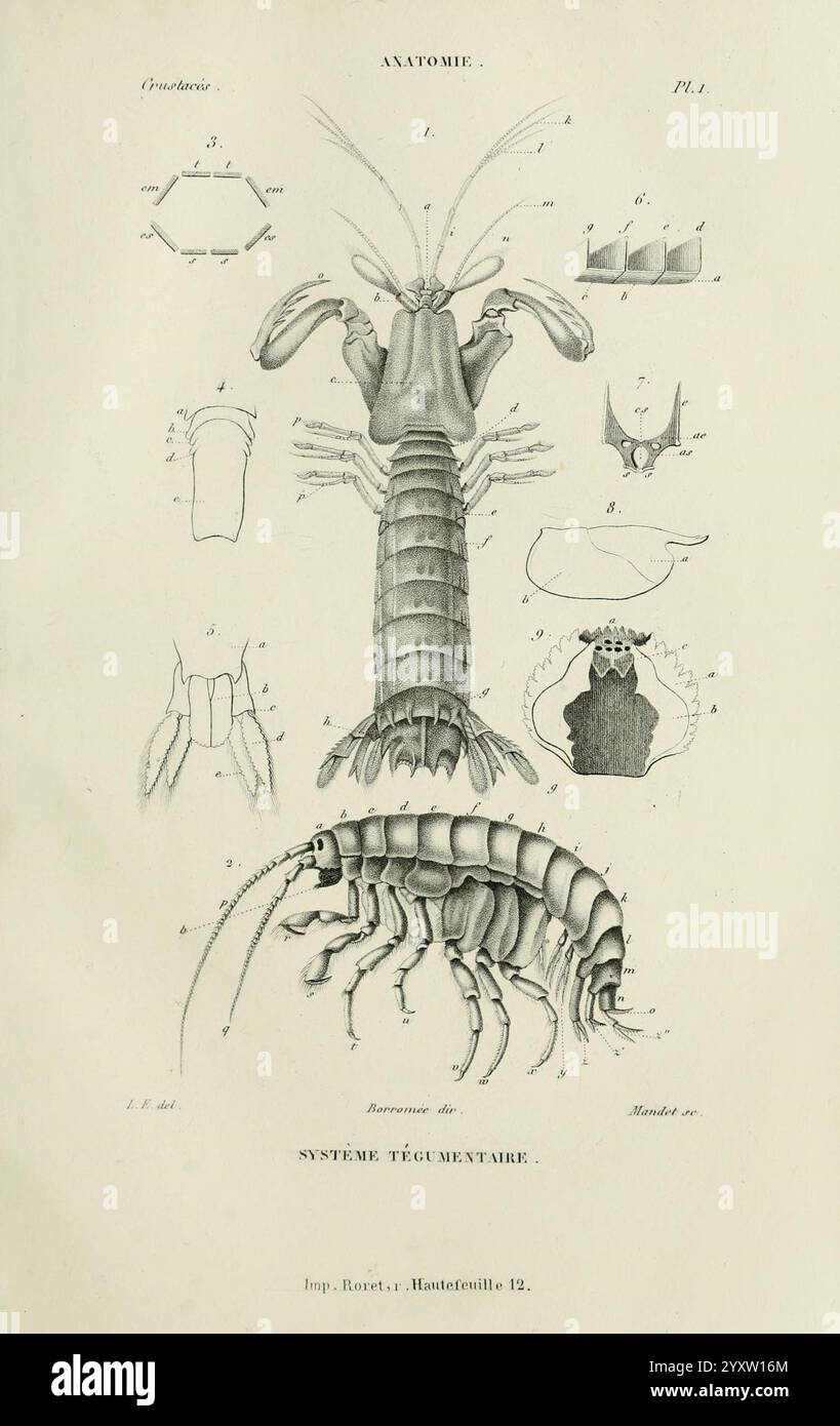 Labeled diagrams illustrating hi-res stock photography and images - Alamy