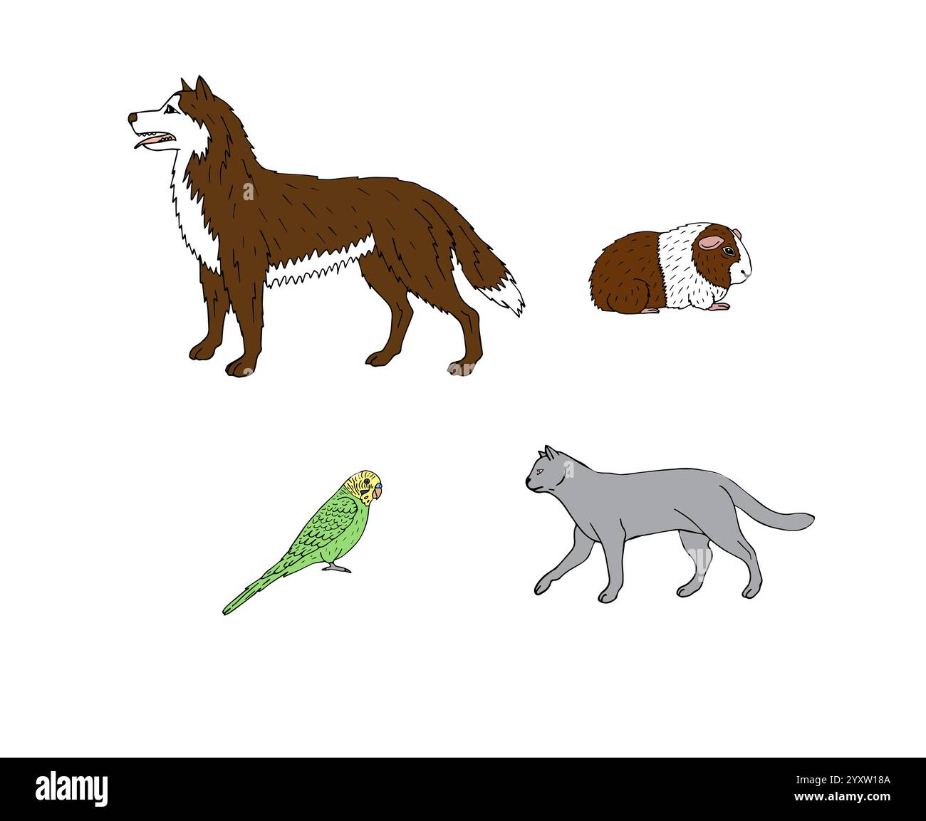 Vector set of hand drawn doodle sketch pets animals isolated on white ...