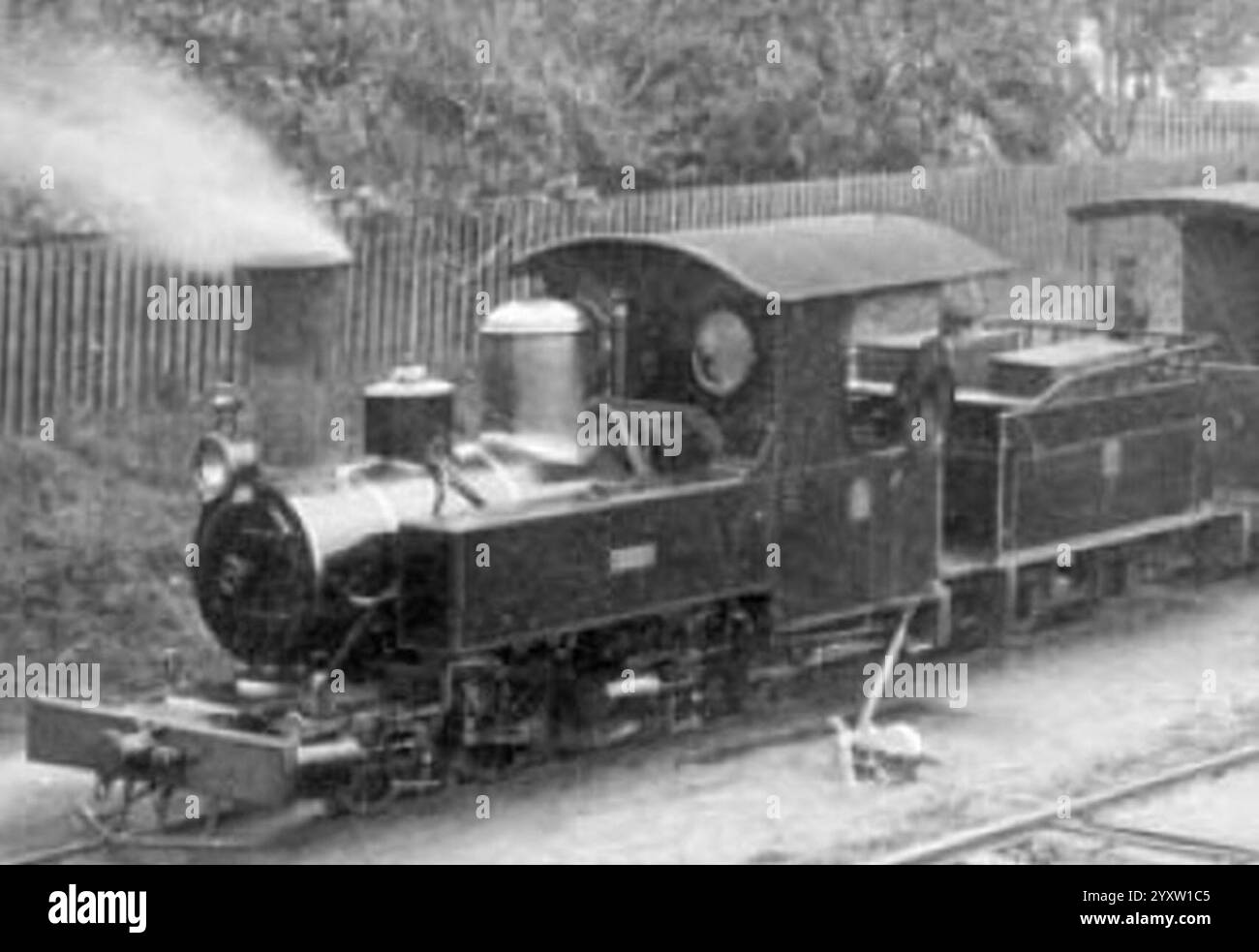 Decauville Mallet Type 8 steam loco 'Kosta' including tender Stock ...