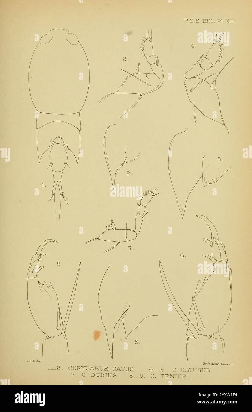 Proceedings of the Zoological Society of London, London, Academic Press ...