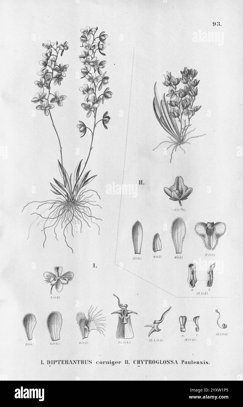 Central vertical arrangement features hi-res stock photography and ...