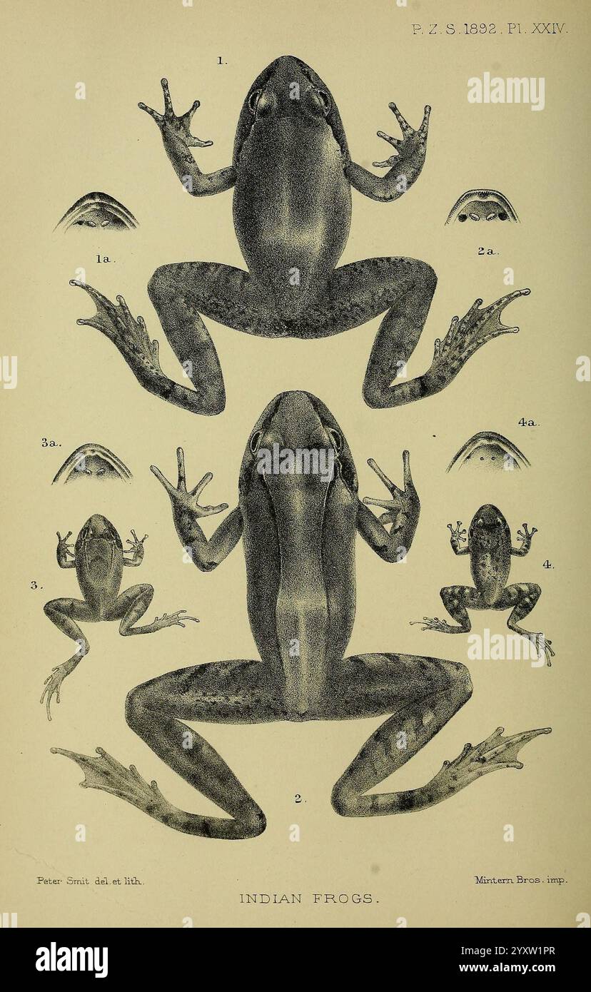 Specific numbered examples hi-res stock photography and images - Alamy