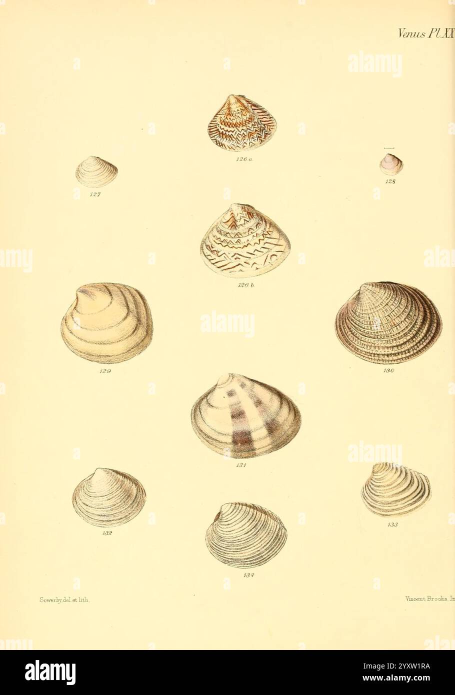 Include numbers hi-res stock photography and images - Alamy