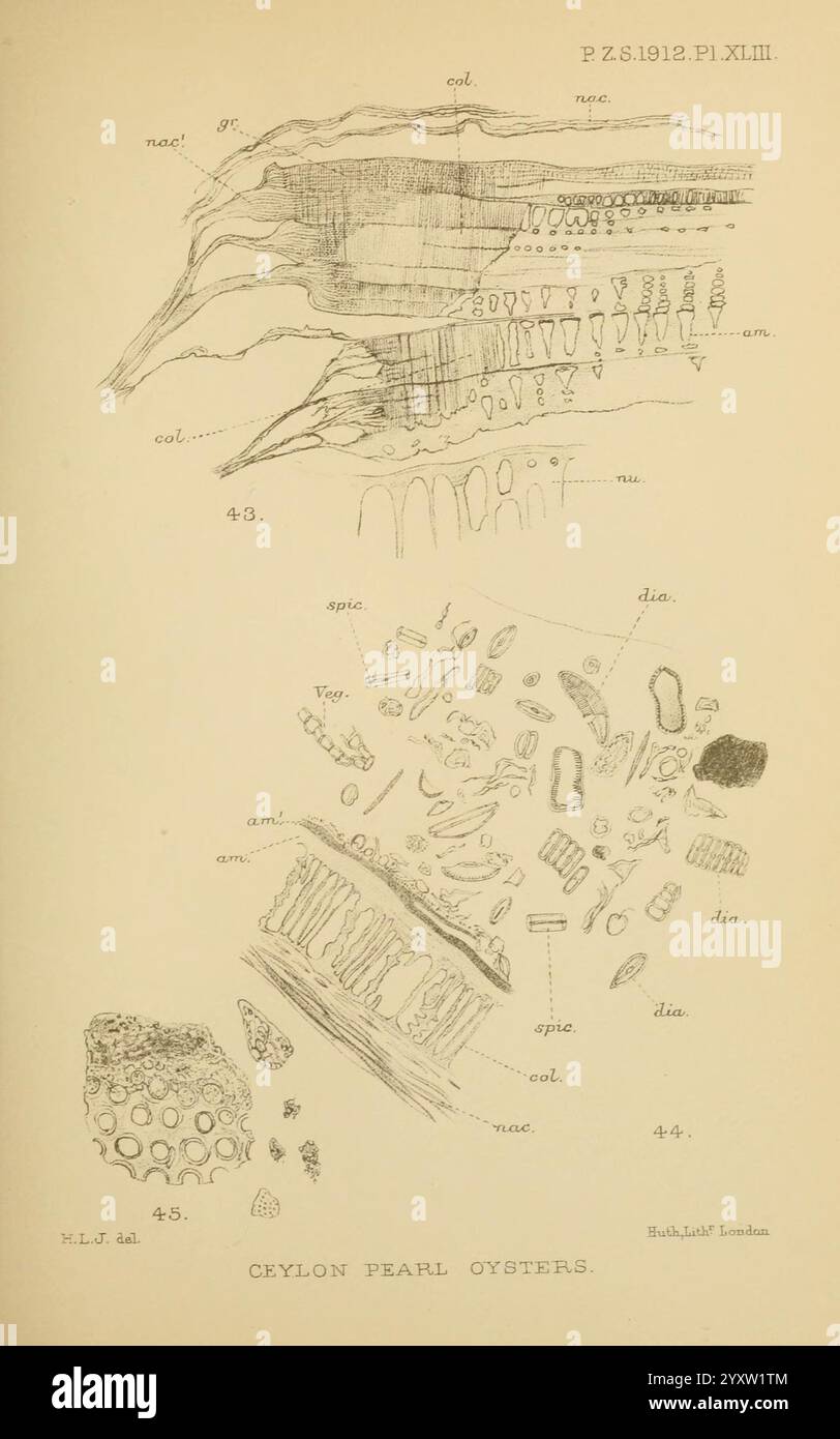 Labeled diagrams depict different components hi-res stock photography ...