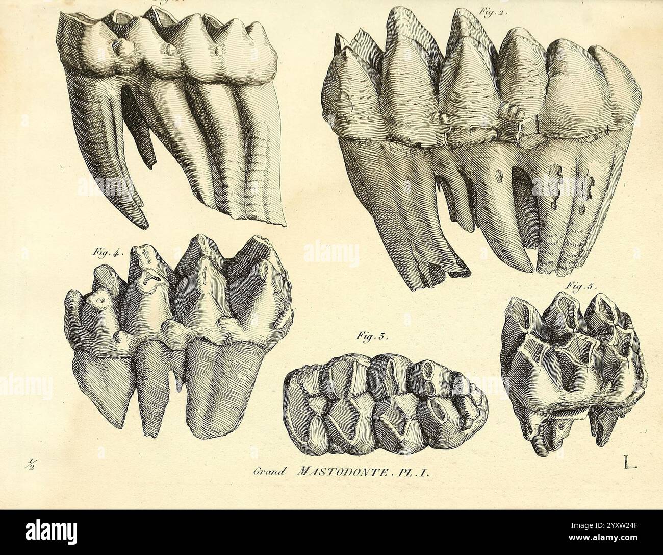 Indicating different angles hi-res stock photography and images - Alamy