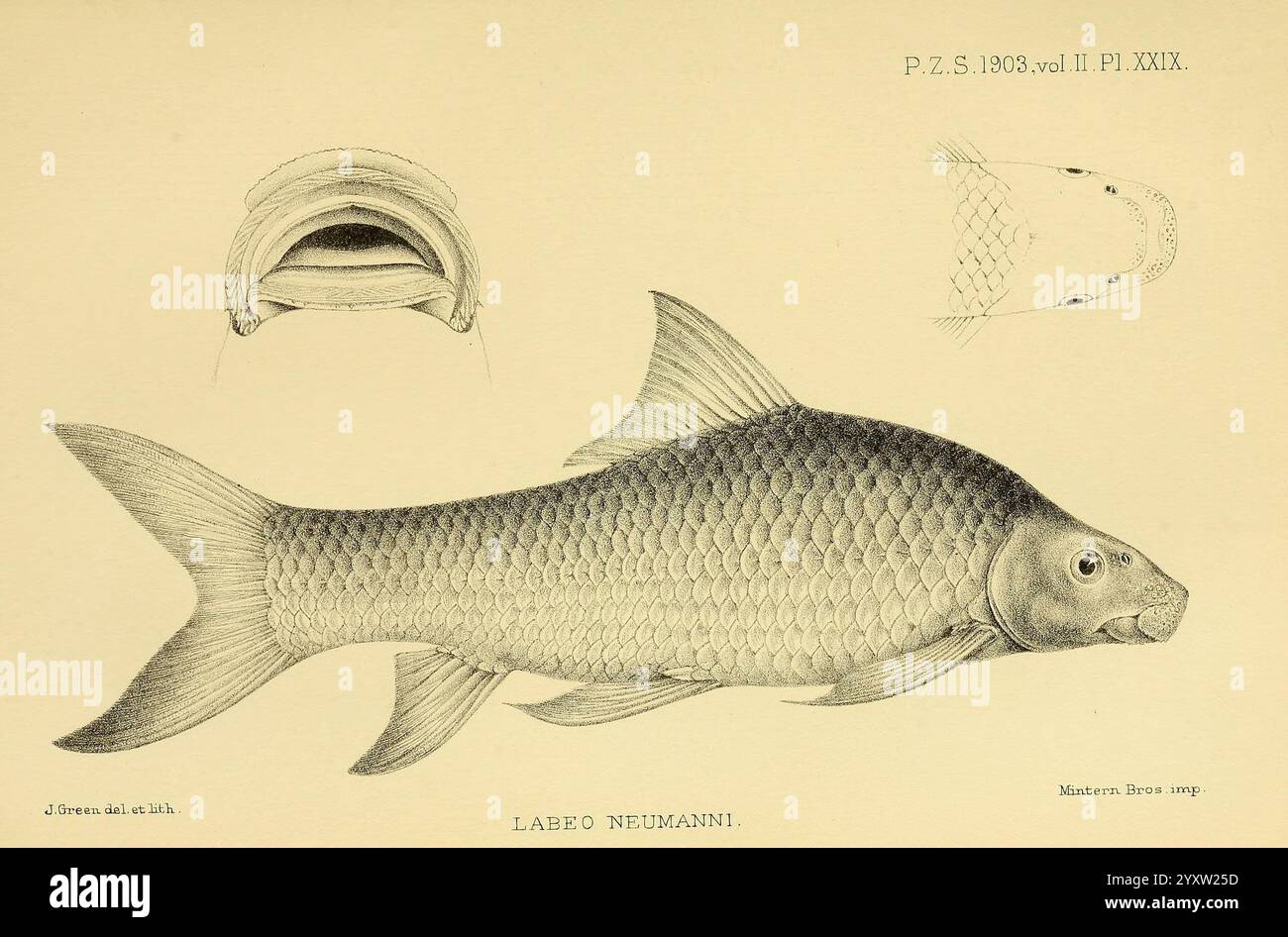 Shading convey depth hi-res stock photography and images - Alamy