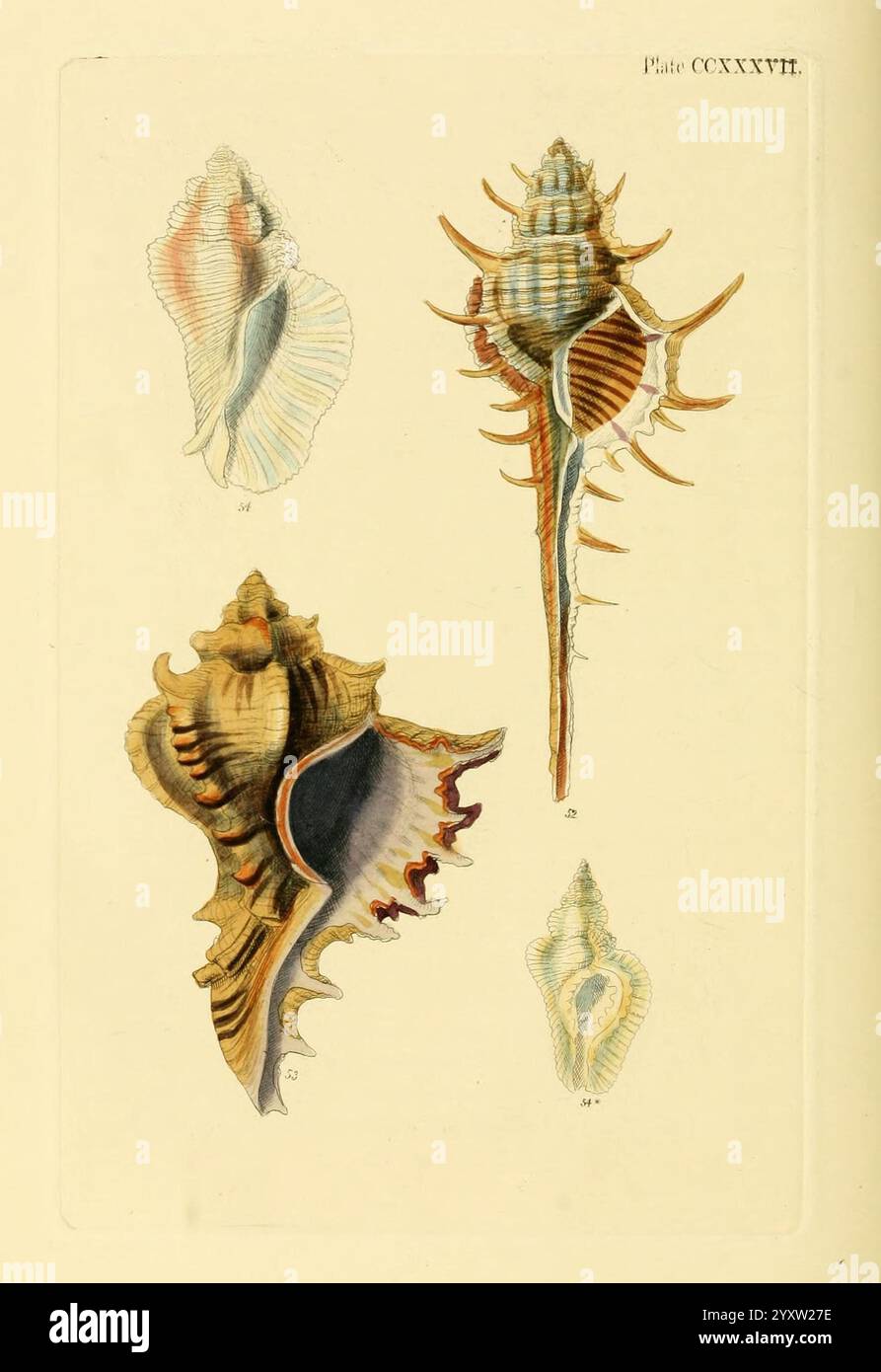 Pronounced curved shapes hi-res stock photography and images - Alamy