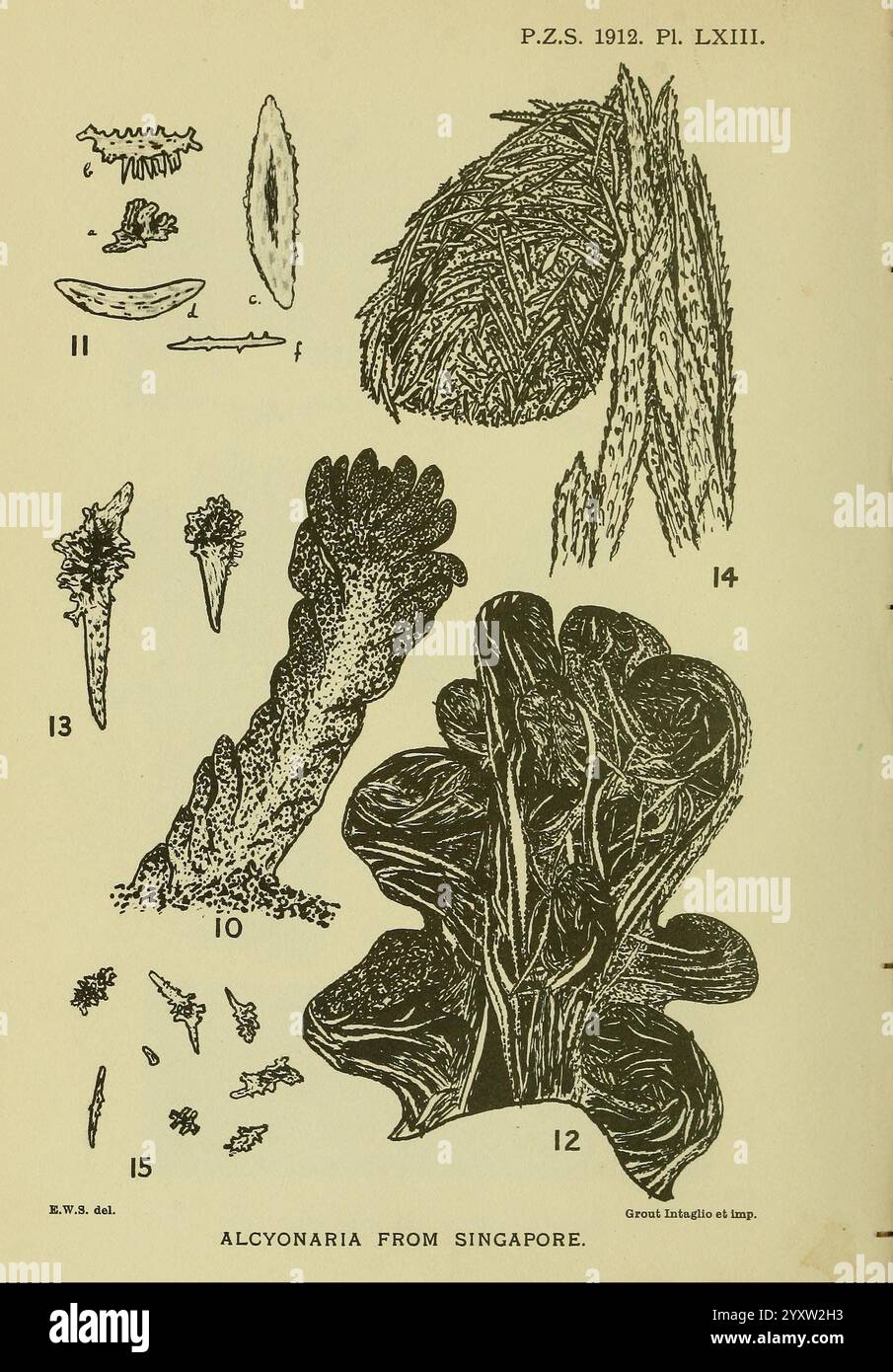Proceedings of the Zoological Society of London, London, Academic Press ...