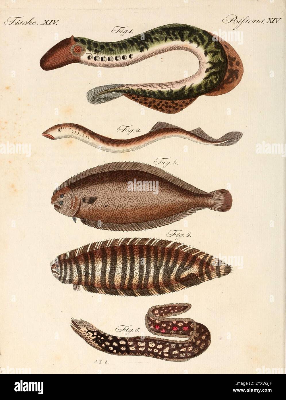 Porte-feuille instructif et amusant pour la jeunesse, À Vienne, Chez ...