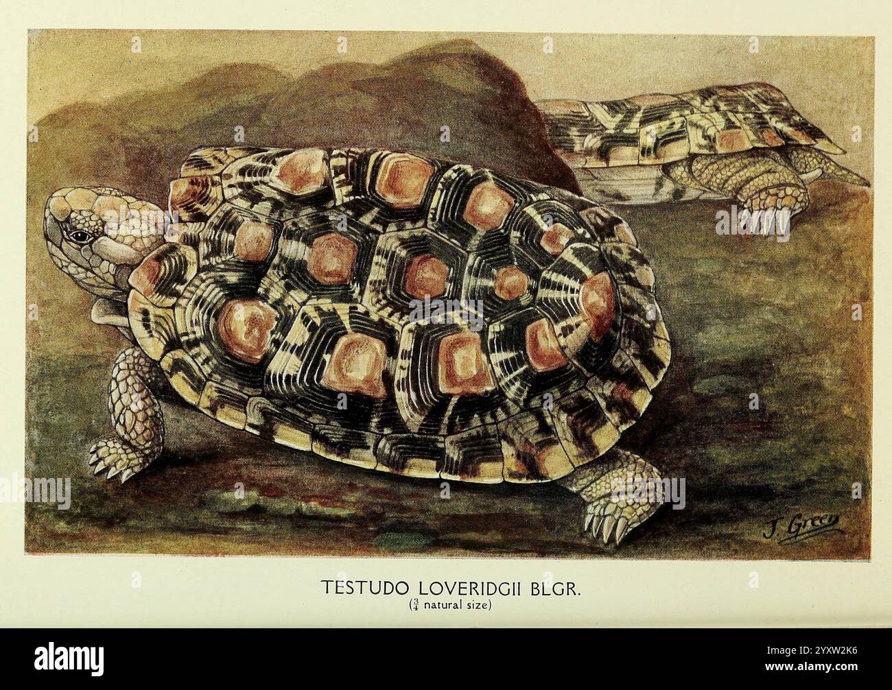 Realistic posture highlight hi-res stock photography and images - Alamy