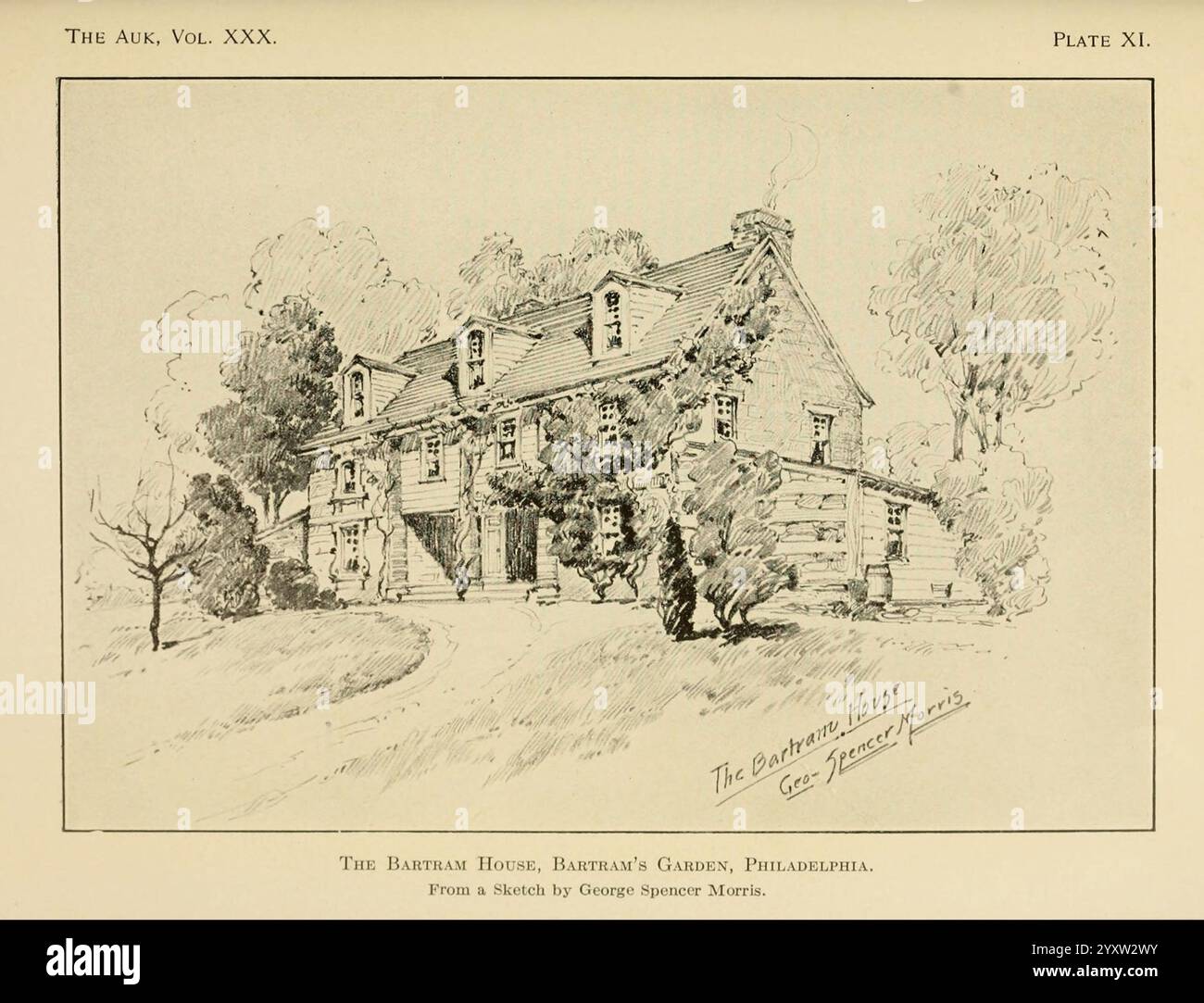The, Auk, Washington, D.C, American, Ornithologists', Union, 1884 ...