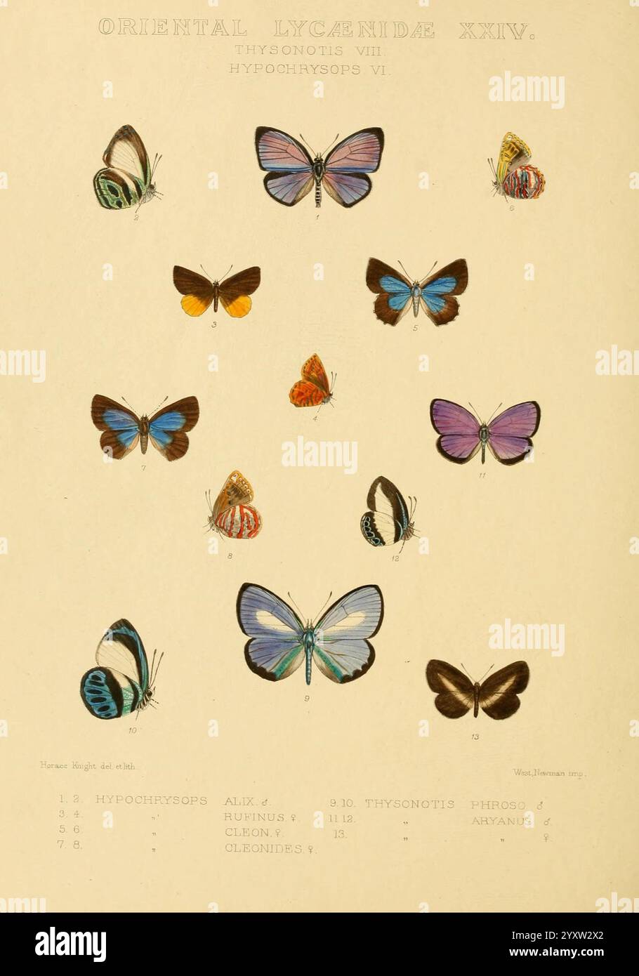 Combines various colors hi-res stock photography and images - Alamy