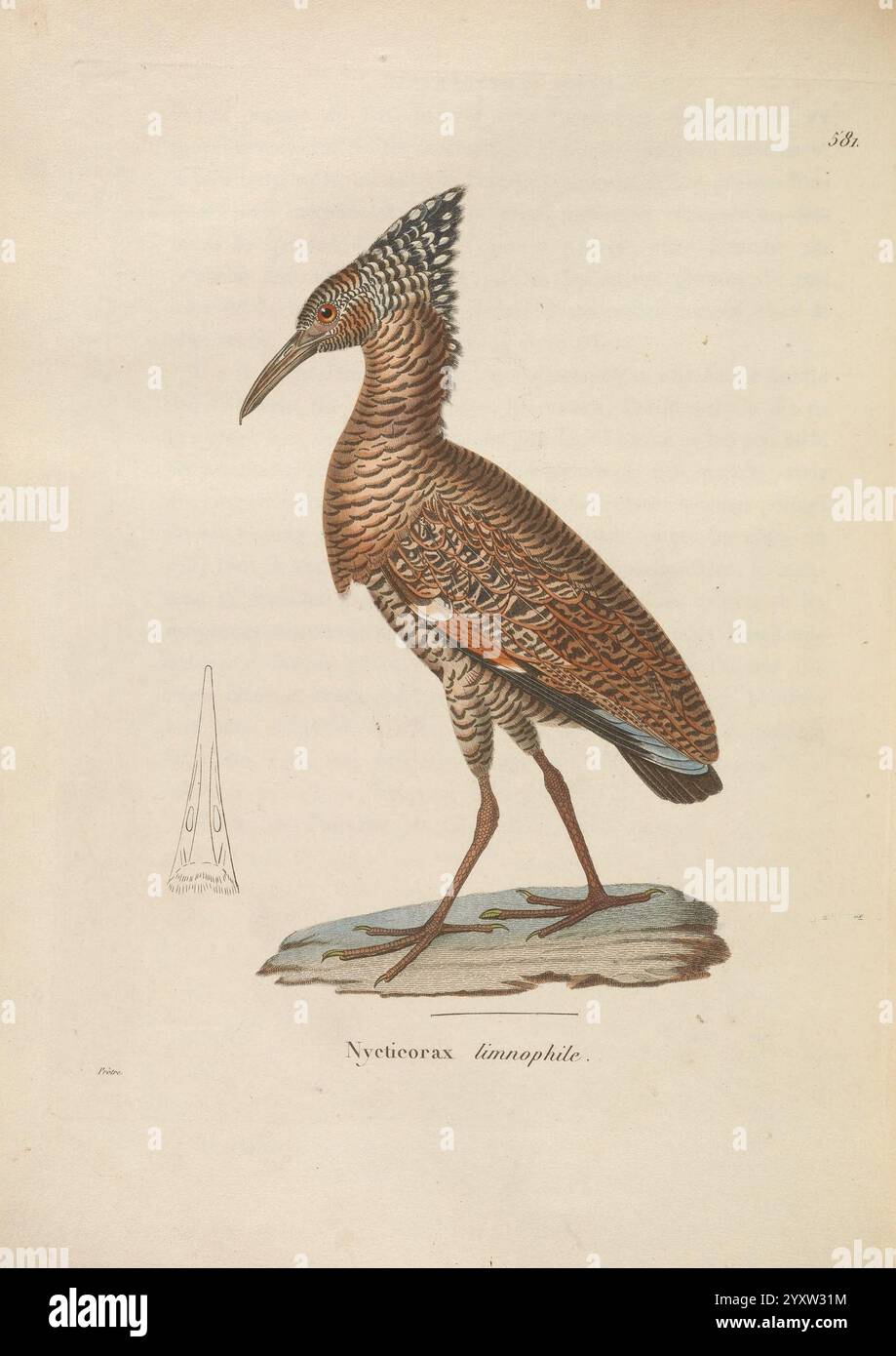 Chez lebras imbert et comp hi-res stock photography and images - Alamy