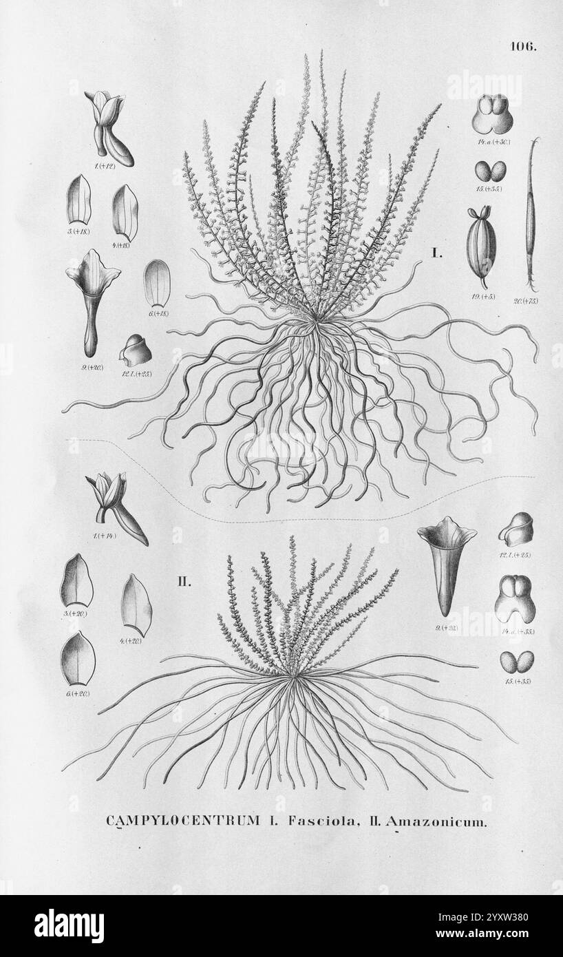 Top section showcases detailed structures hi-res stock photography and ...