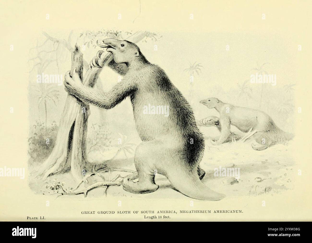 Extinct monsters and creatures of other days, London, Chapman & Hall ...