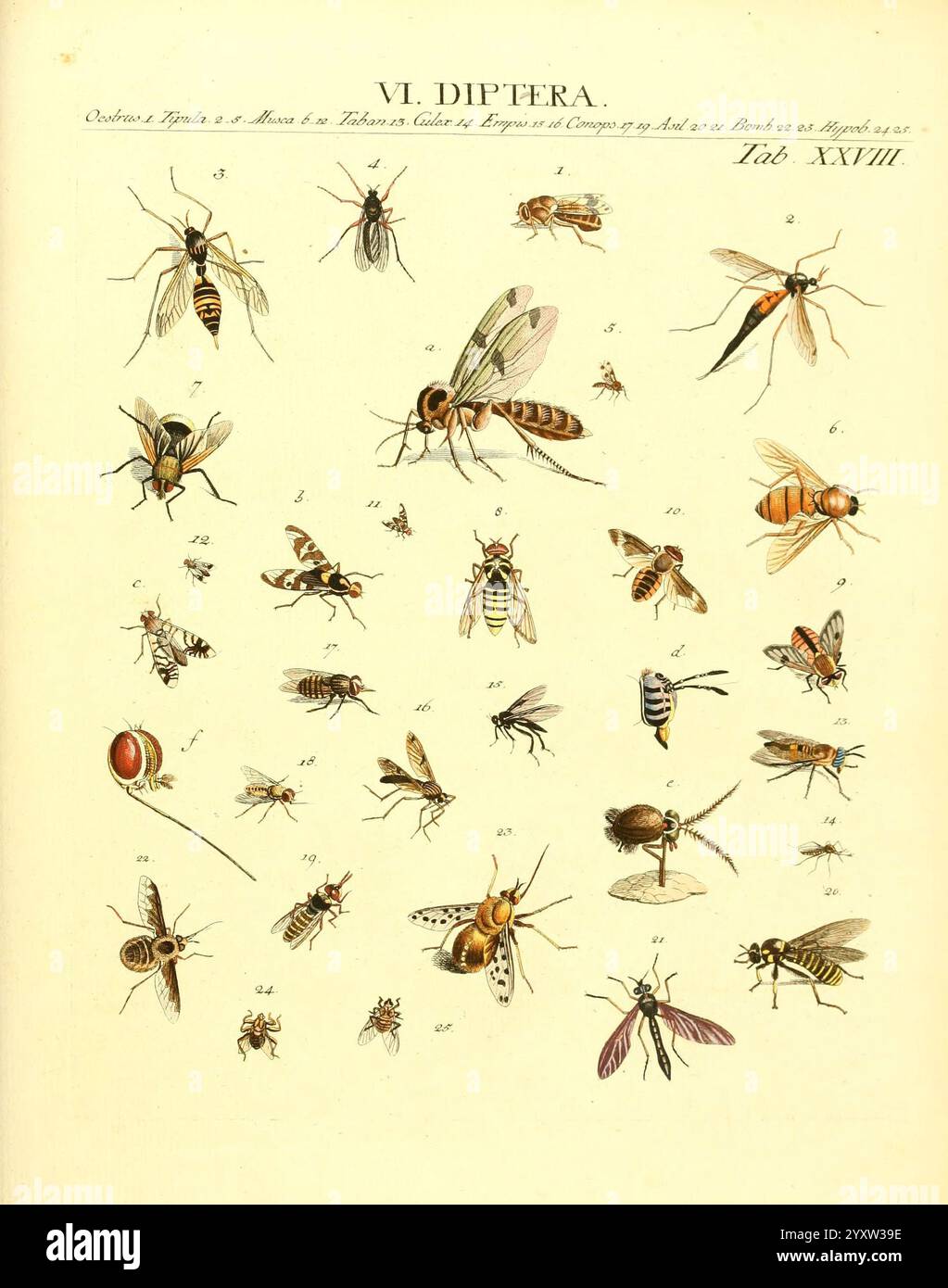 Detailed renderings allow hi-res stock photography and images - Alamy