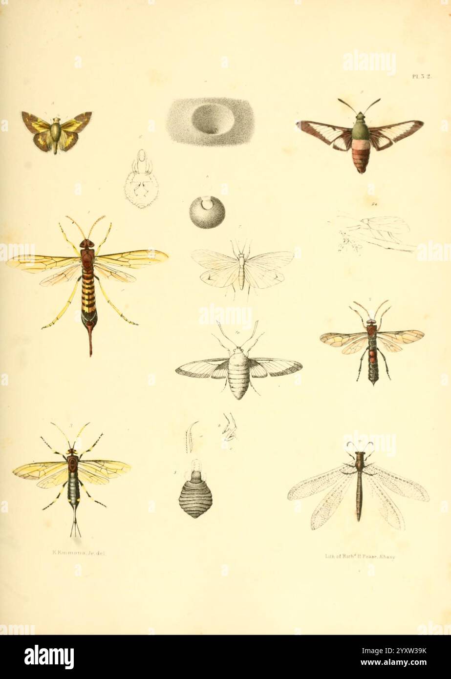 Circular egg form hi-res stock photography and images - Alamy