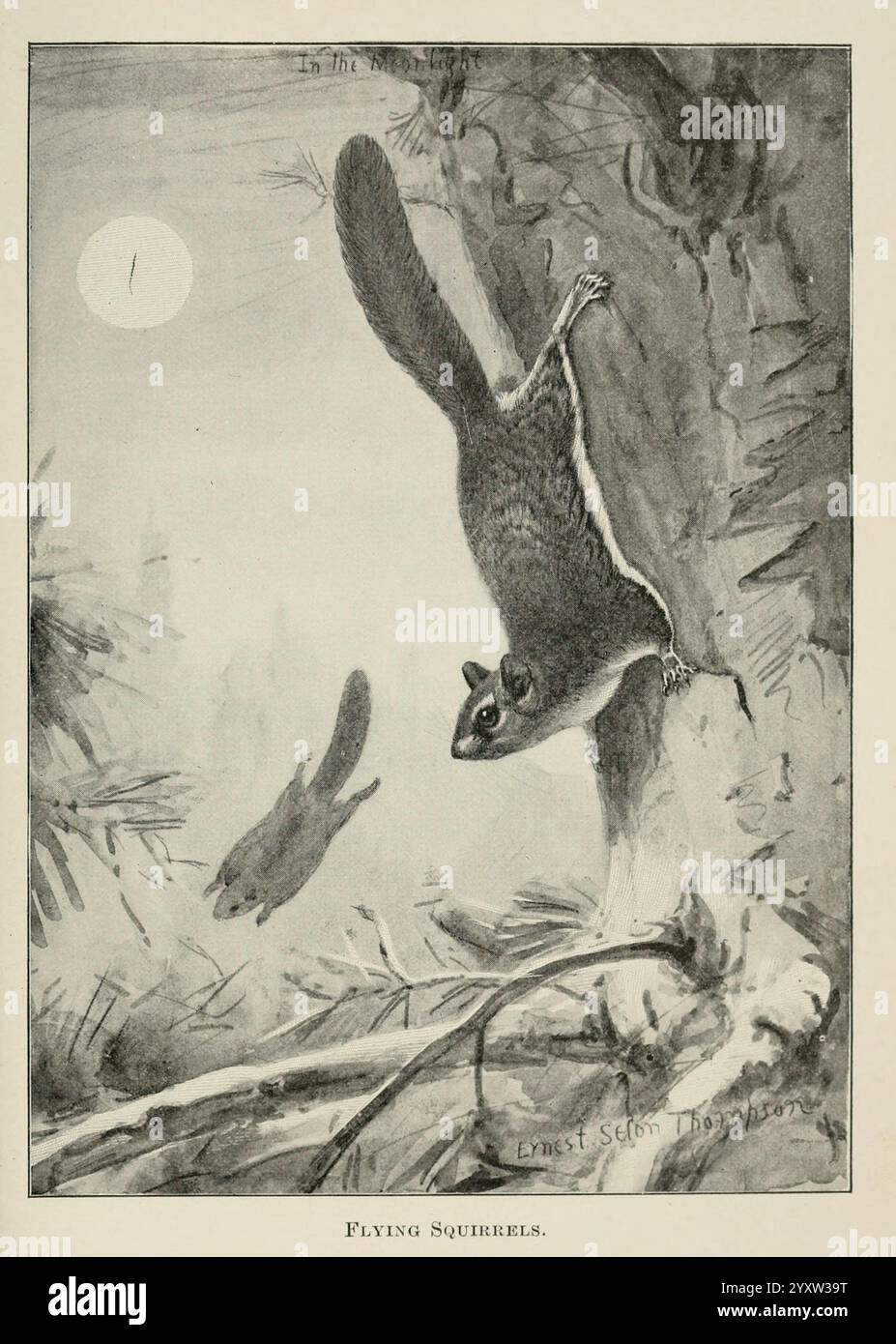 Enables flight hi-res stock photography and images - Alamy