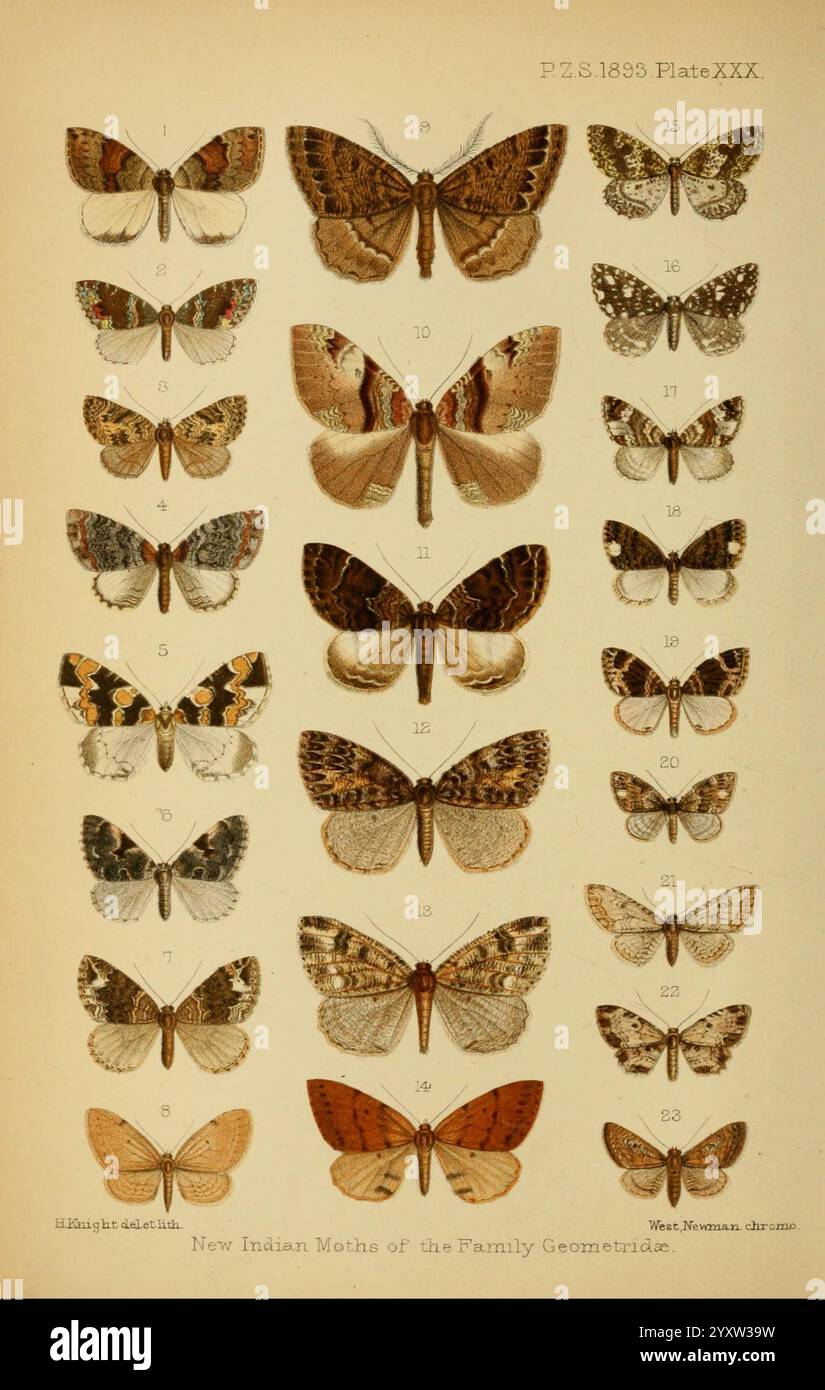 Reflect distinct shapes hi-res stock photography and images - Alamy