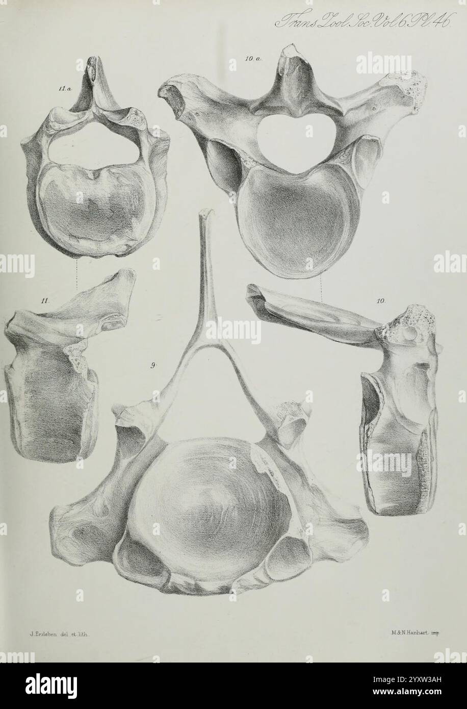 Multiple orientations labeled hi-res stock photography and images - Alamy