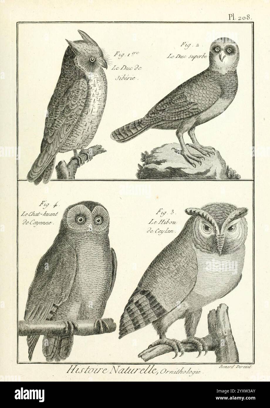 Upper right stands upright hi-res stock photography and images - Alamy