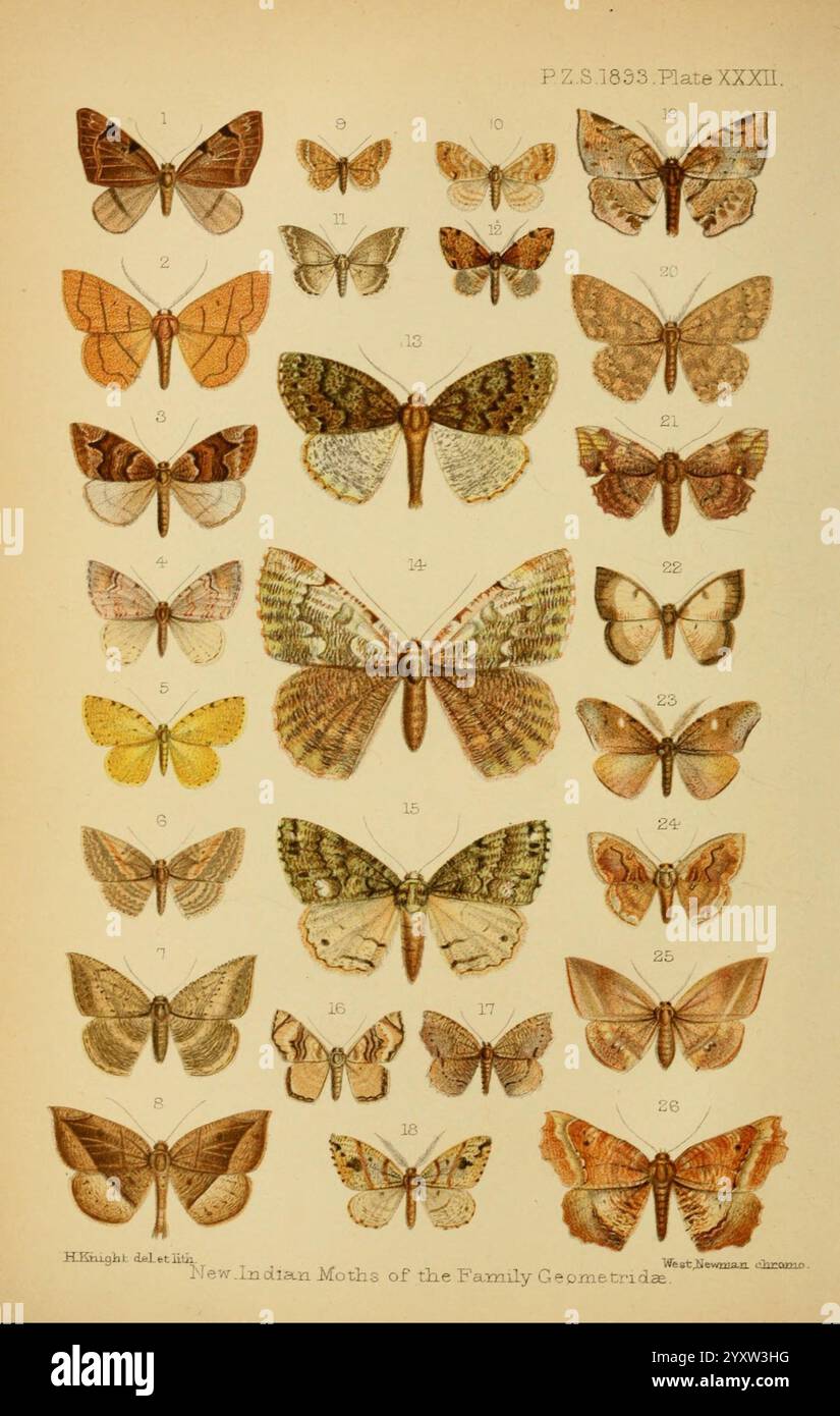 Proceedings of the Zoological Society of London, London, Academic Press ...