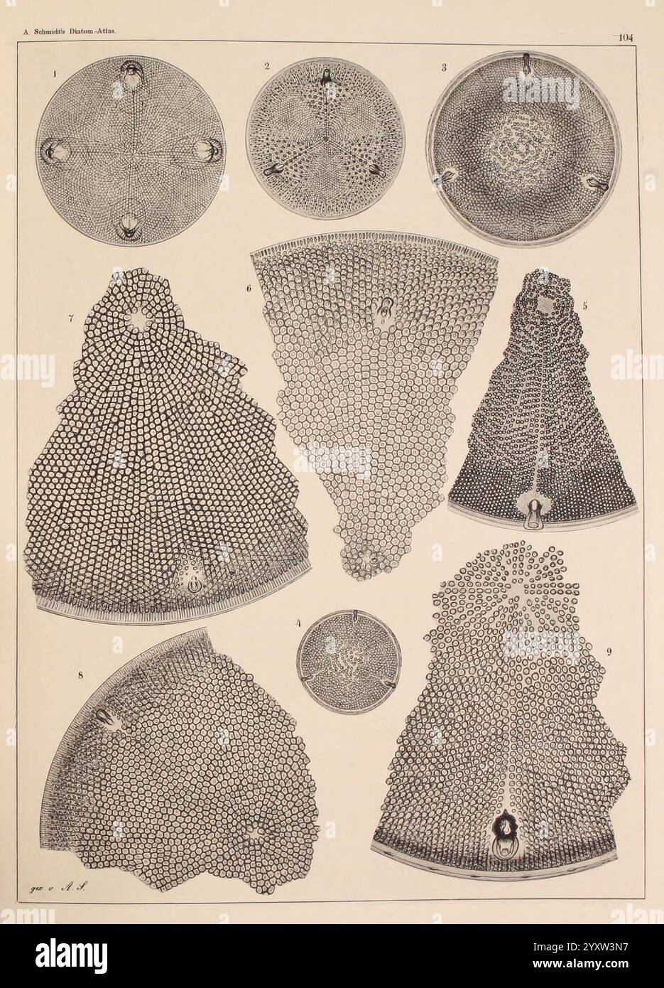 Smaller circular diagrams focus hi-res stock photography and images - Alamy