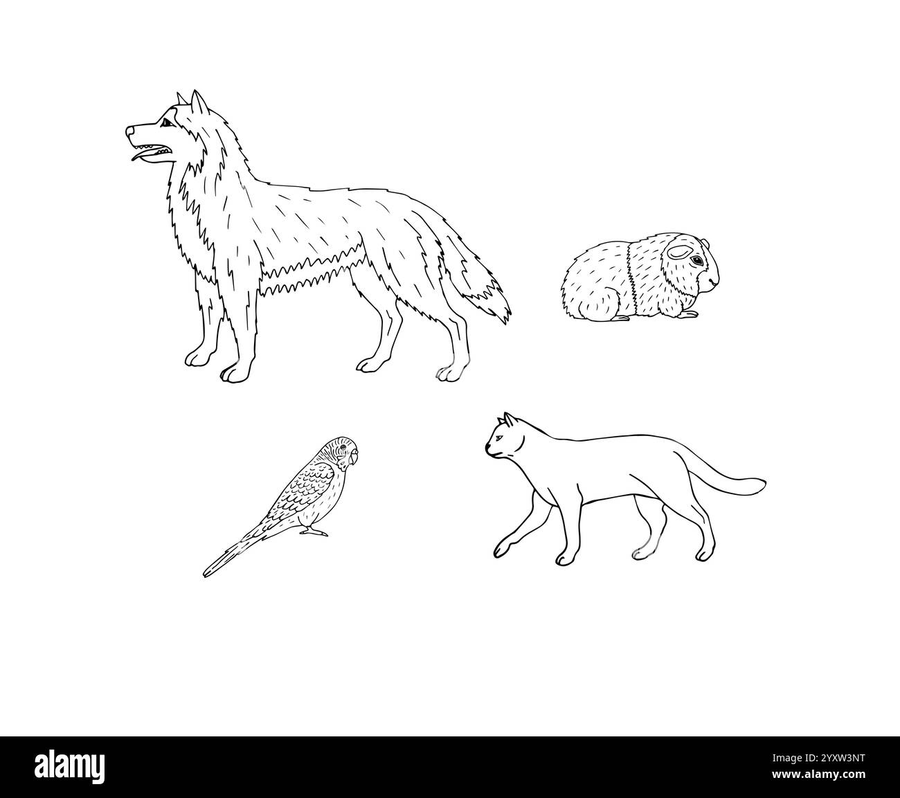 Vector set bundle of hand drawn doodle sketch pets animals isolated on ...