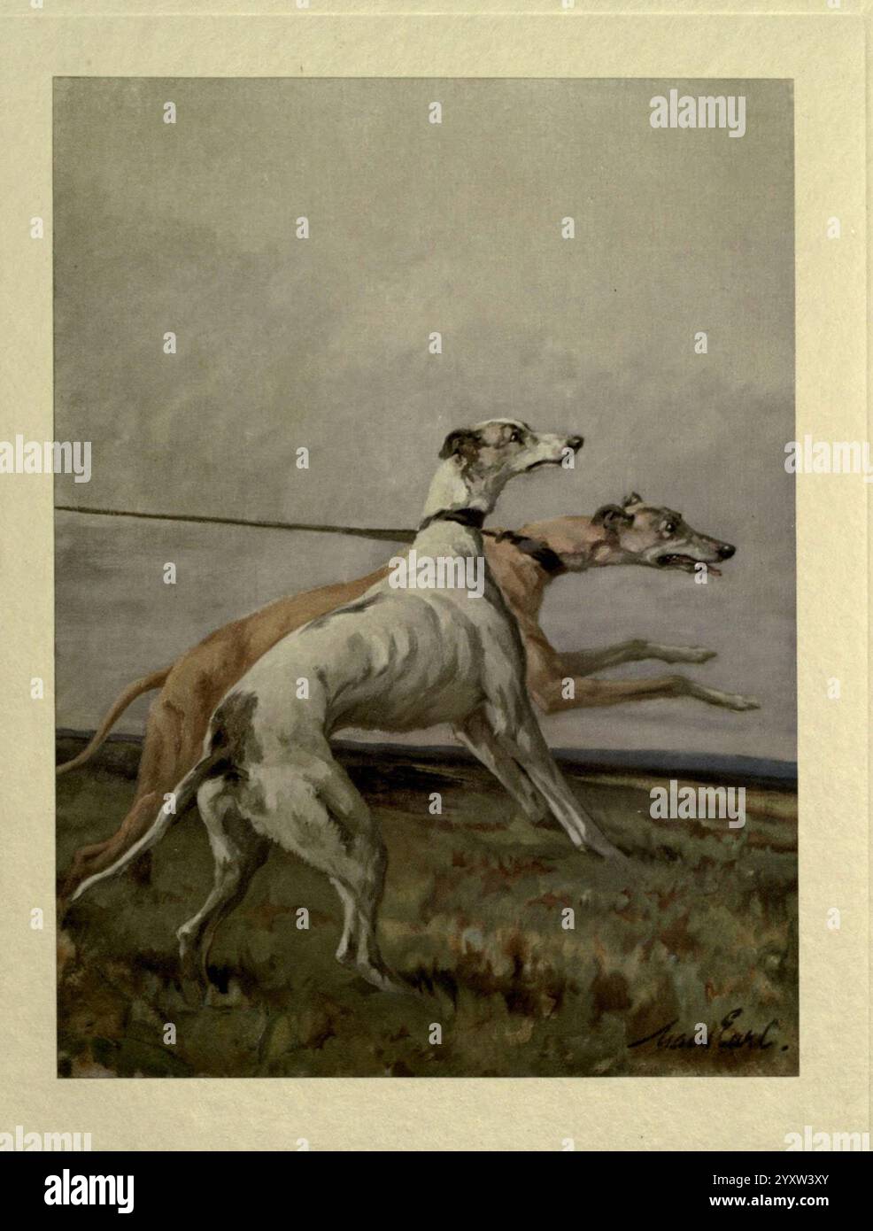 The power of the dog London, Hodder and Stoughton, [1910 or 1911]. Dog ...