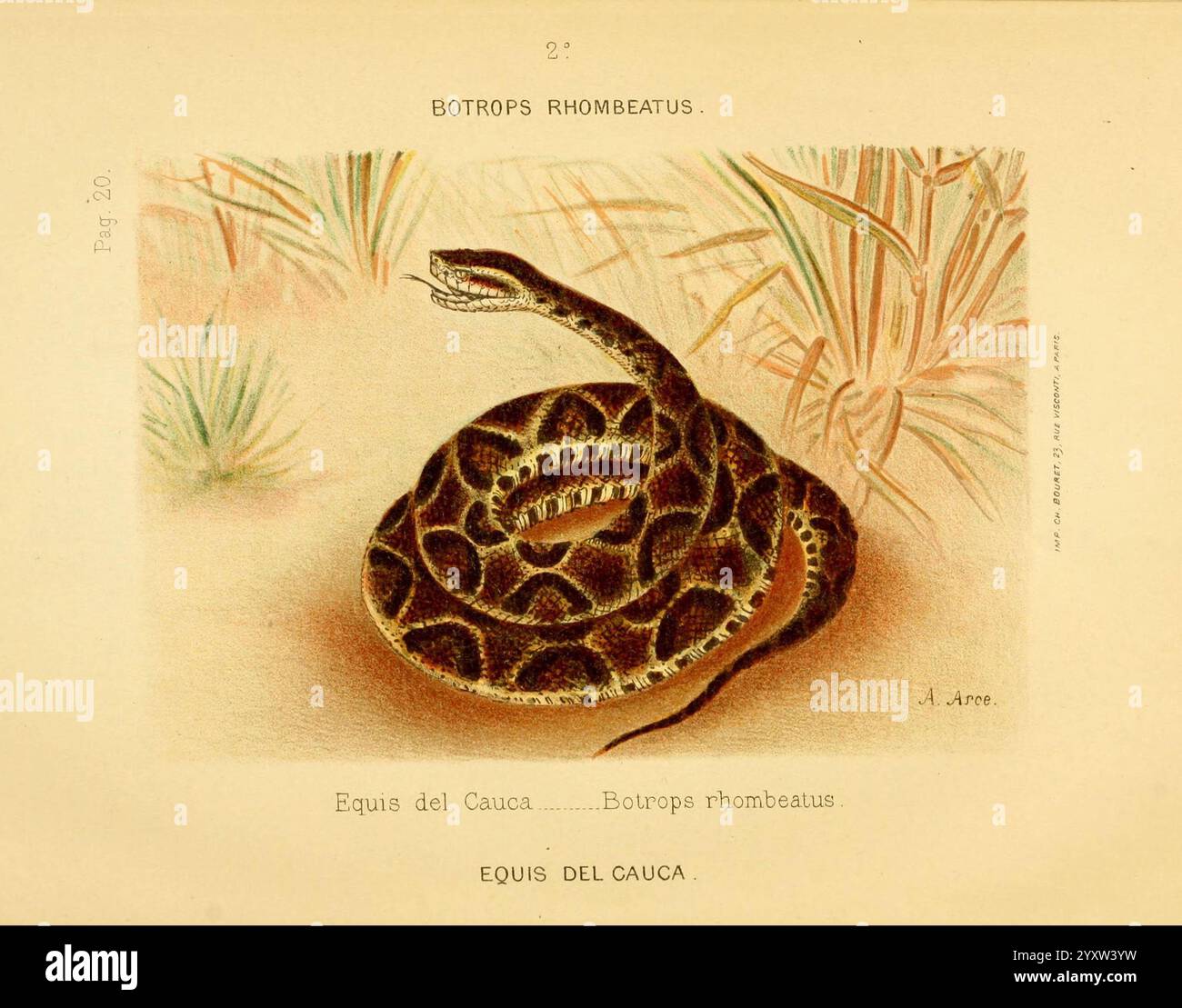 Los equis hi-res stock photography and images - Alamy