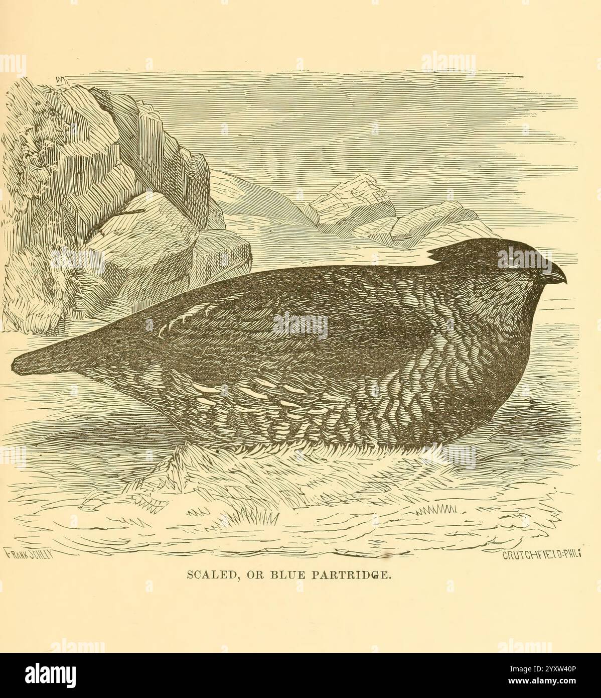 Detailed background elements hinting hi-res stock photography and ...