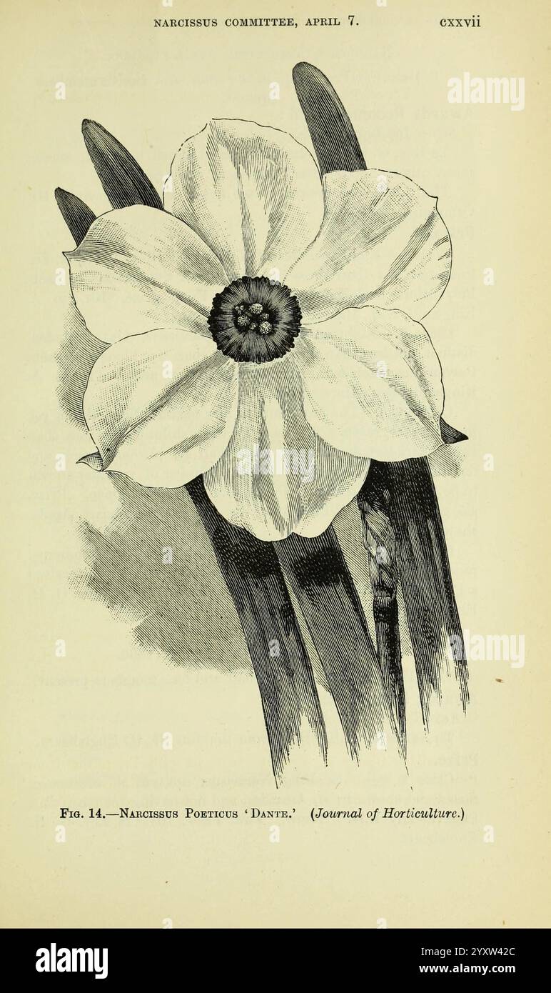 Journal of the Royal Horticultural Society of London, London, Printed ...
