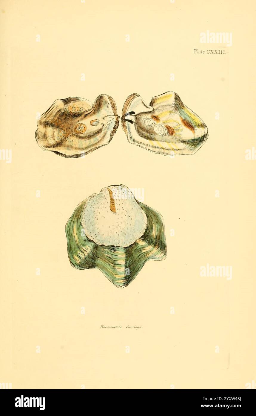 Featuring variations hi-res stock photography and images - Alamy