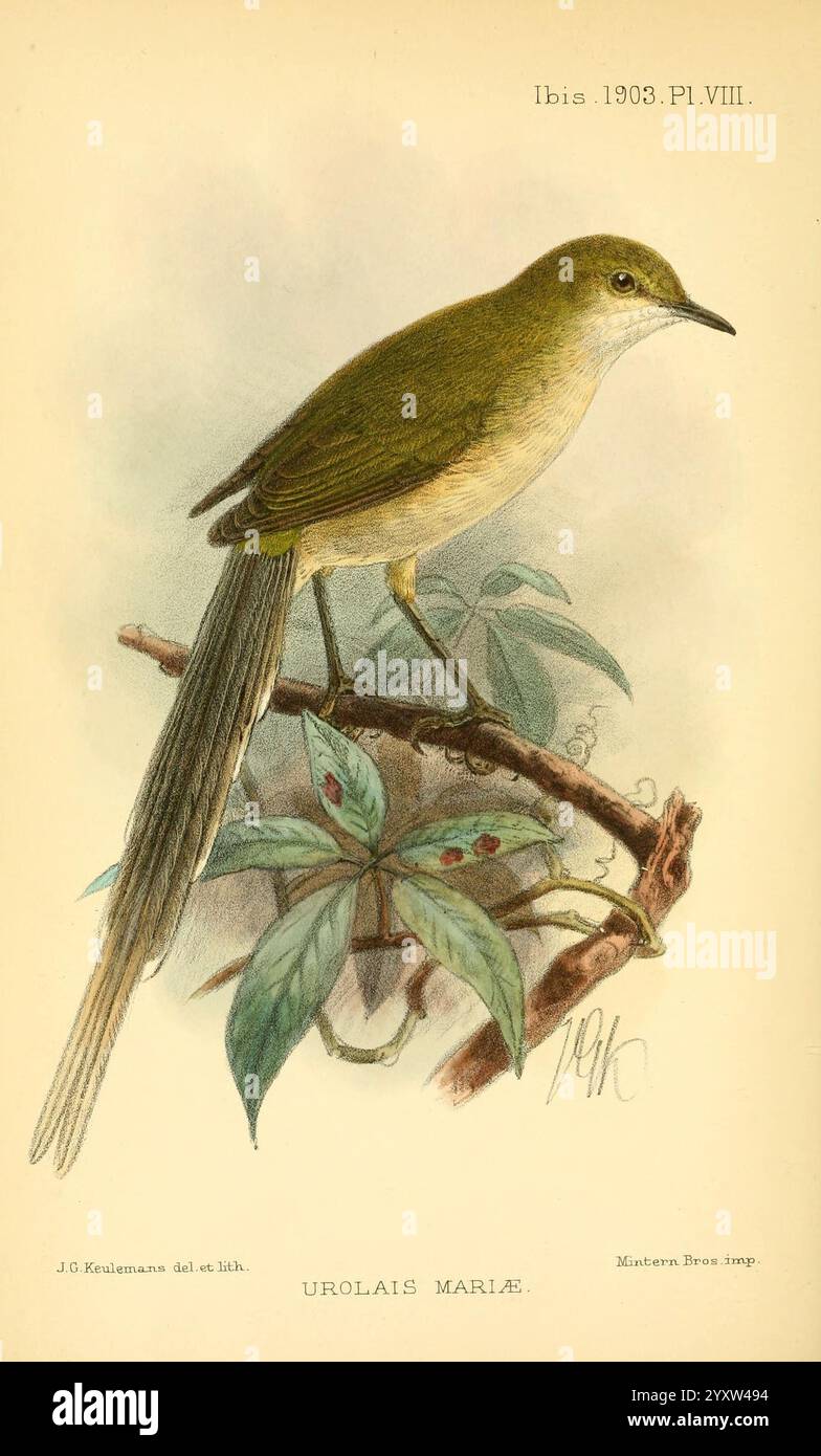 Eras dedication hi-res stock photography and images - Alamy