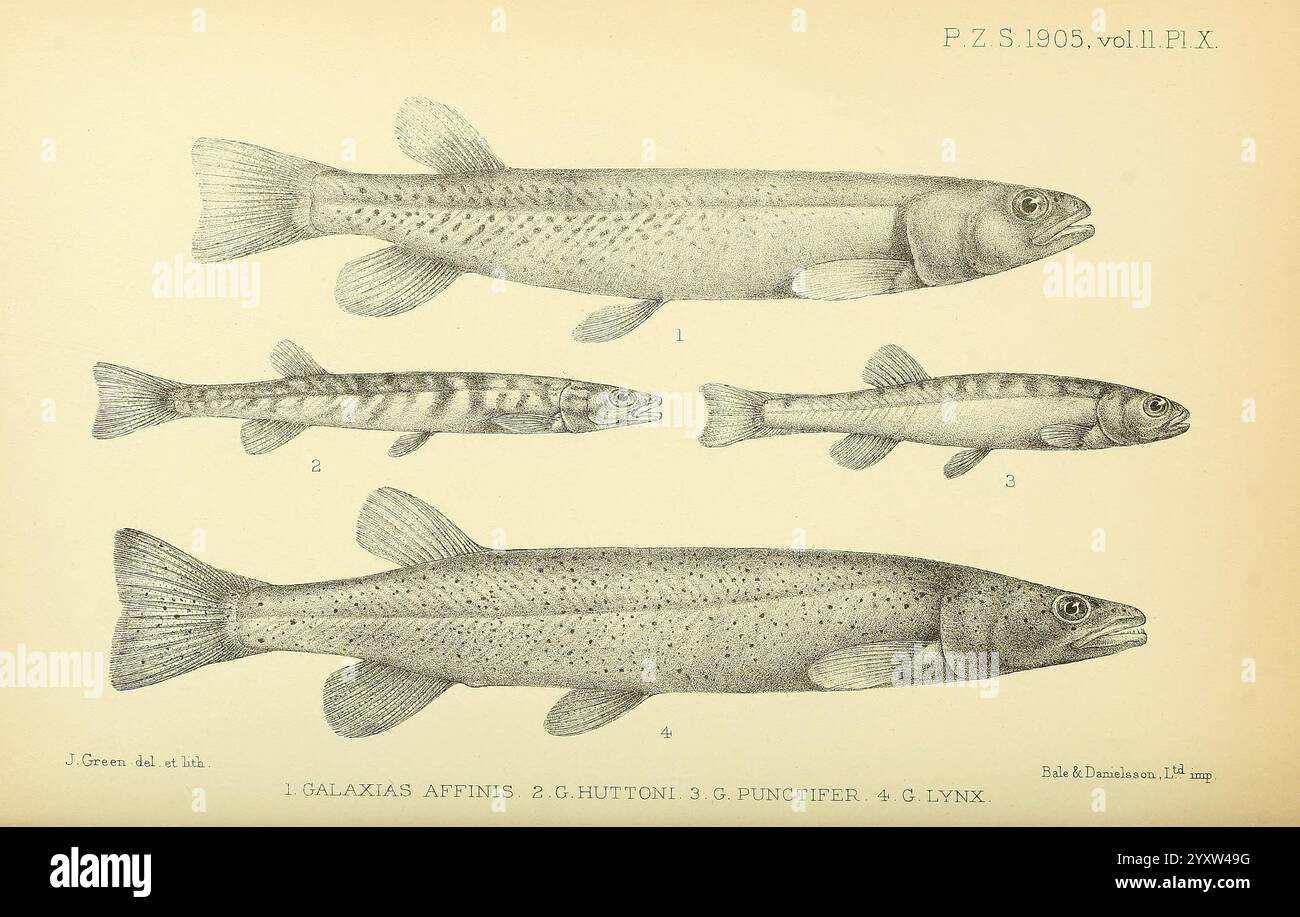 Proceedings of the Zoological Society of London, London, Academic Press ...