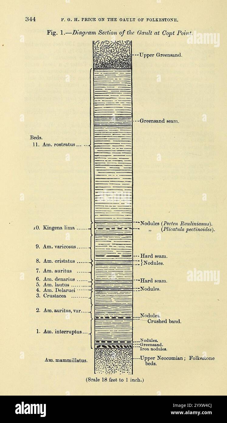 The Quarterly Journal of the Geological Society of London, v. 30 (1874 ...