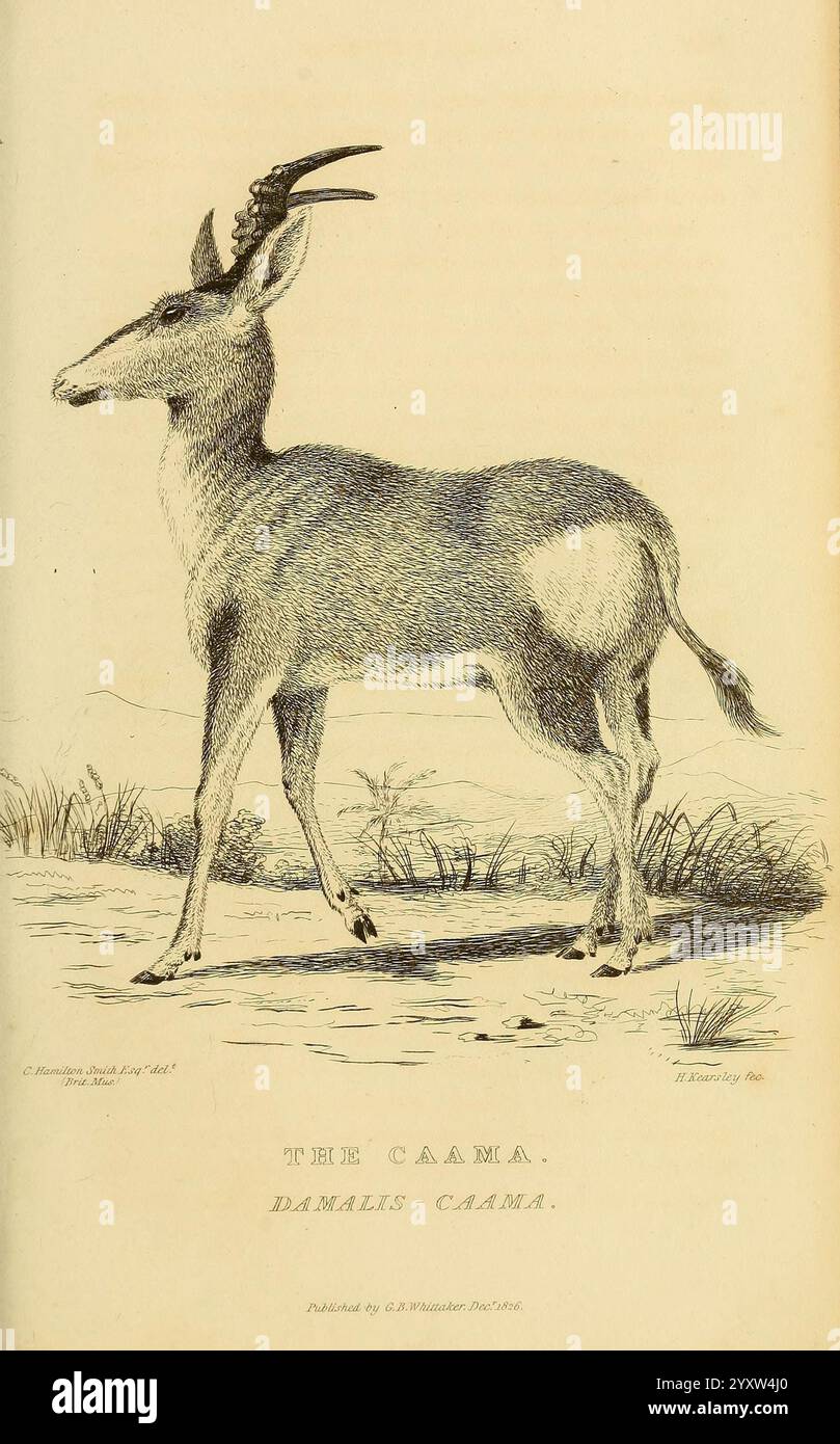 The animal kingdom, London, Printed for G.B. Whittaker, 1827-1835 ...