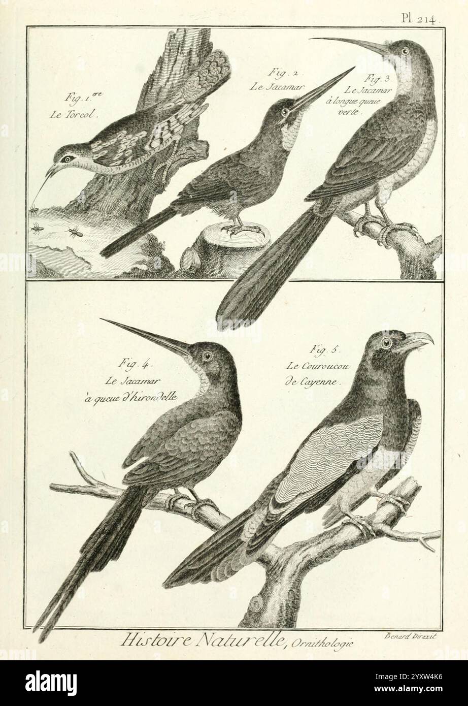 Tableau encyclopédique et méthodique des trois règnes de la nature, A ...