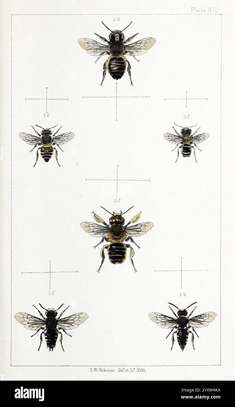 Top down view alongside side profiles hi-res stock photography and ...