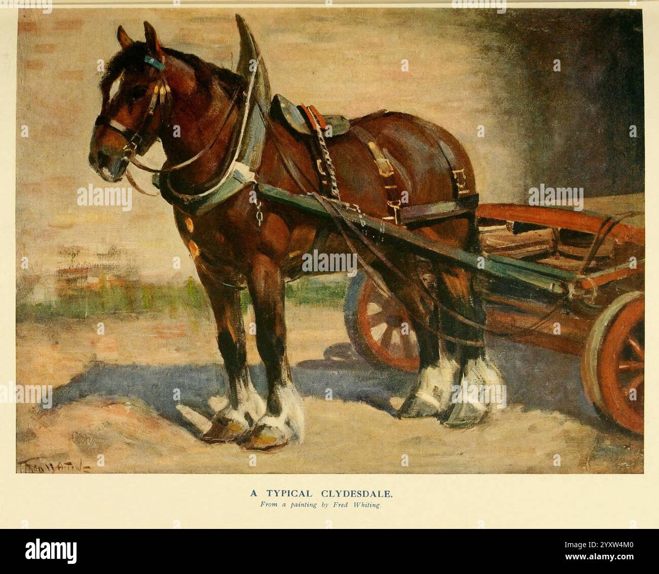 Showcasing Horse Showcasing (GB) Archives TDN | Thoroughbred Daily