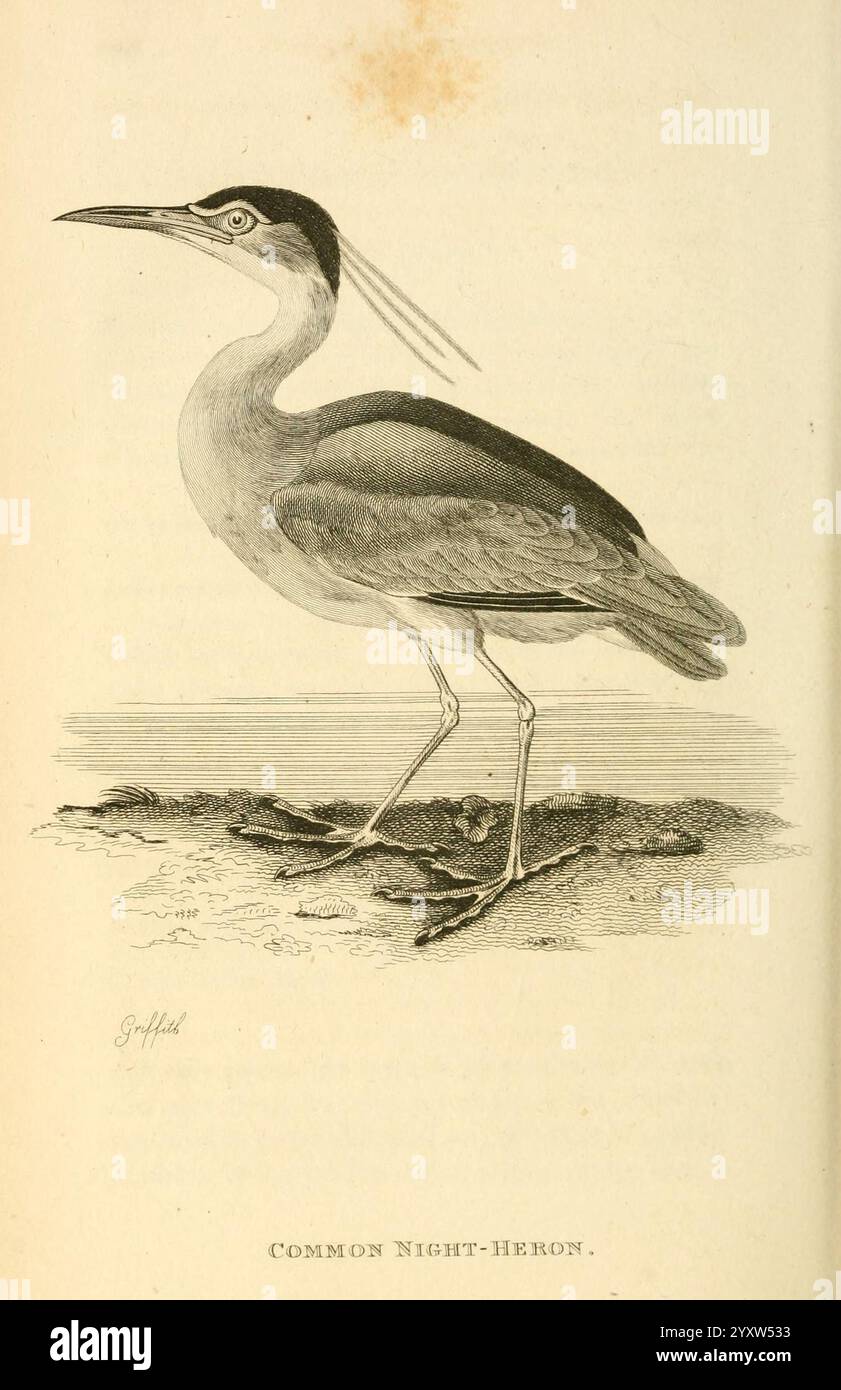 Calm water body hints hi-res stock photography and images - Alamy