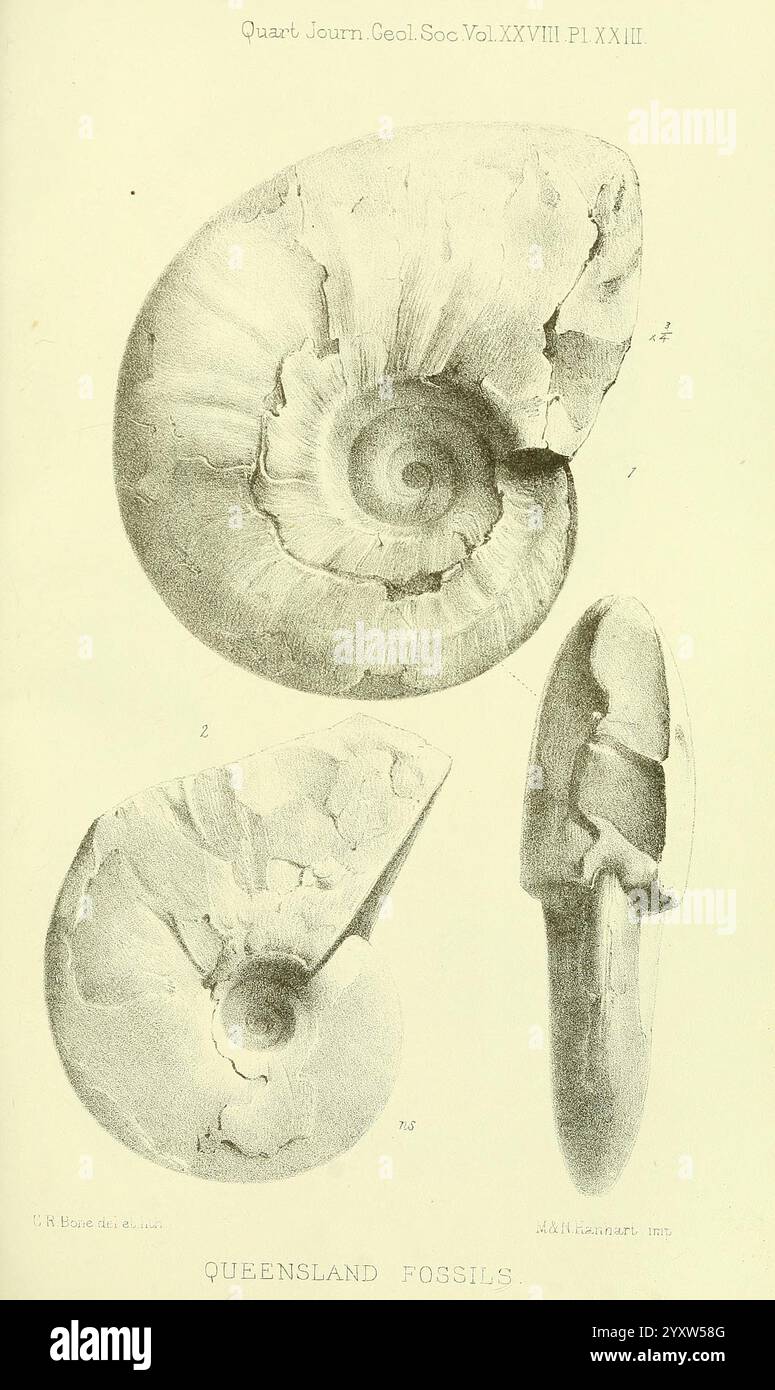 The, Quarterly, Journal, of, the, Geological, Society, of, London, v.28 ...